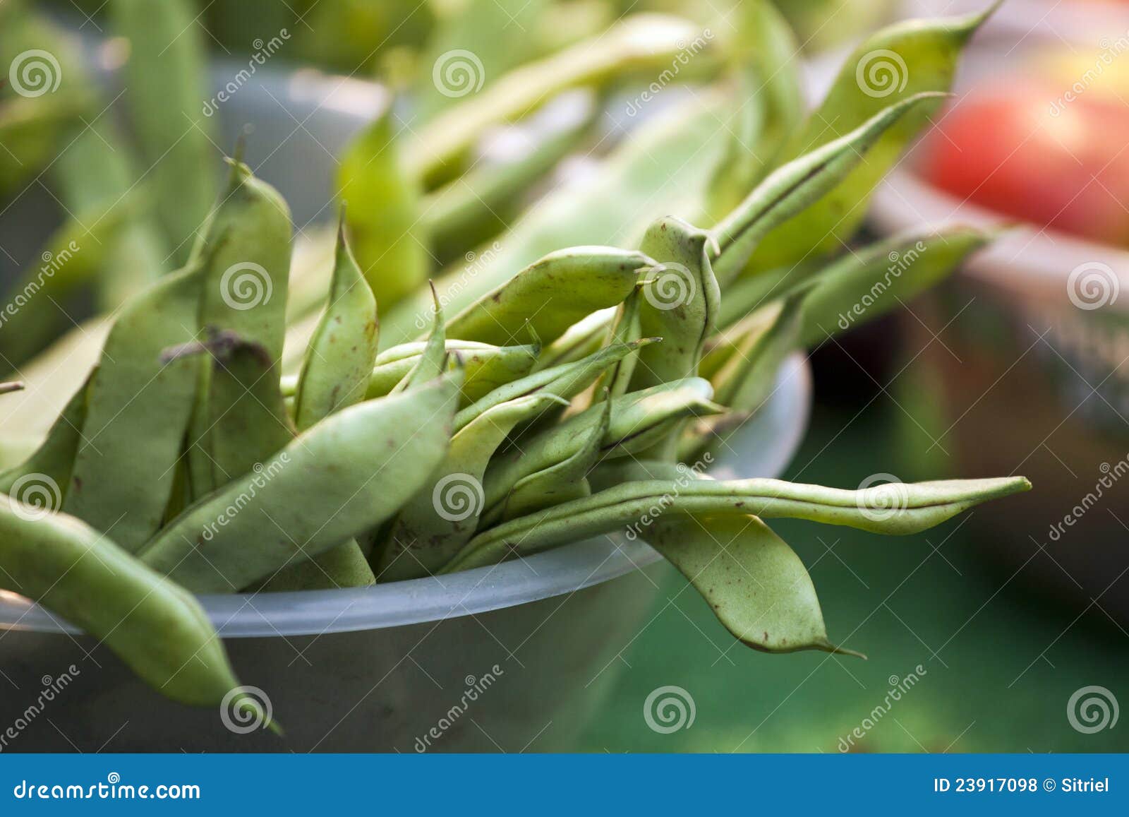Beans on a market stock photo. Image of nature, vegetable - 23917098