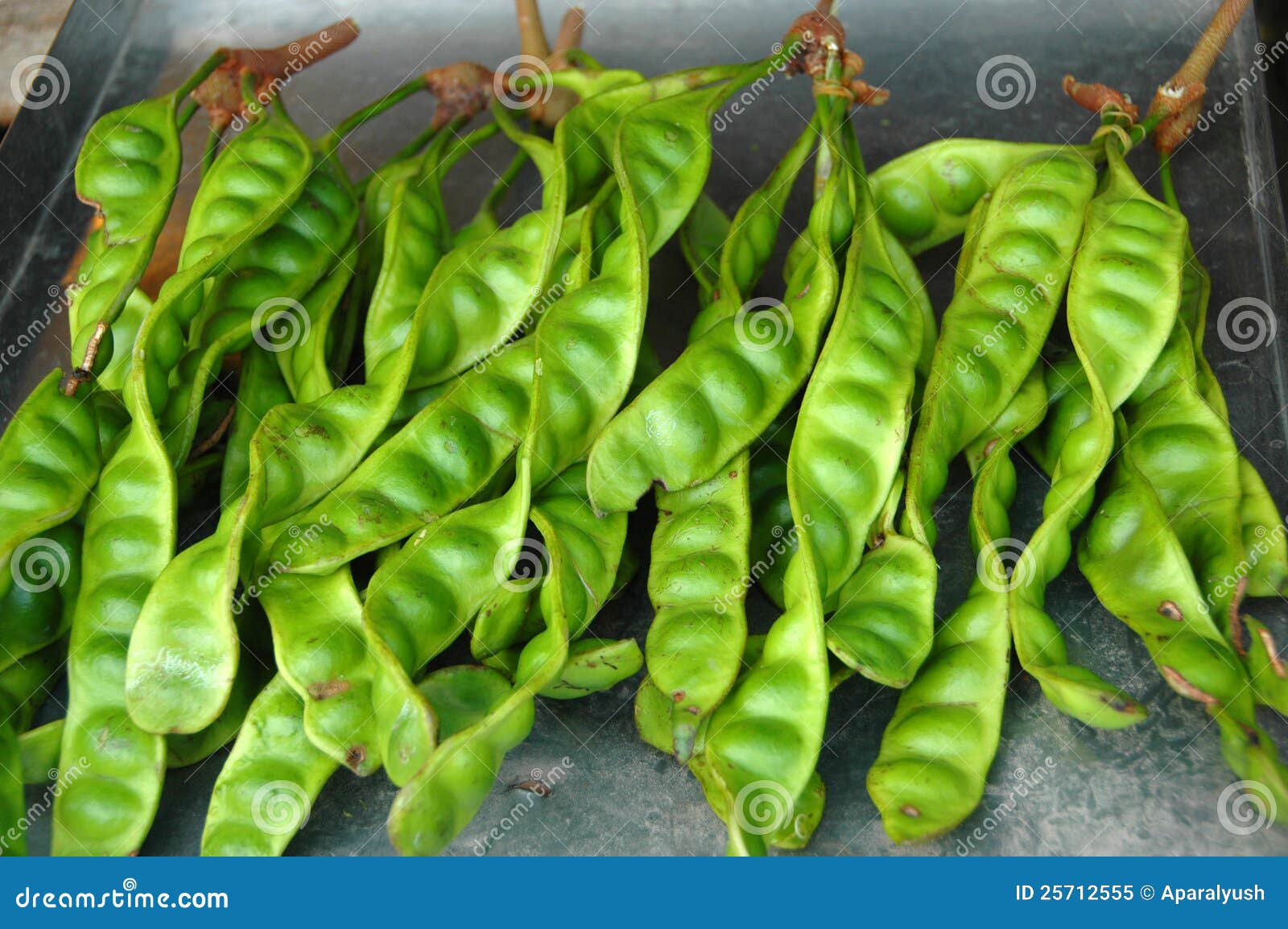 Beans on the market stock image. Image of agriculture - 25712555