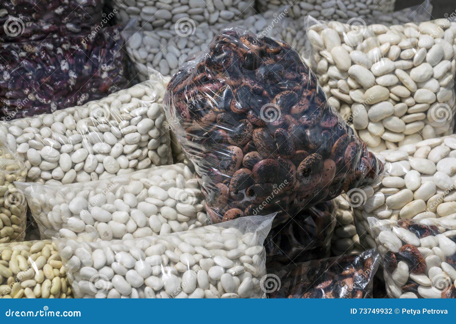 Beans stock photo. Image of plant, beans, black, food - 73749932