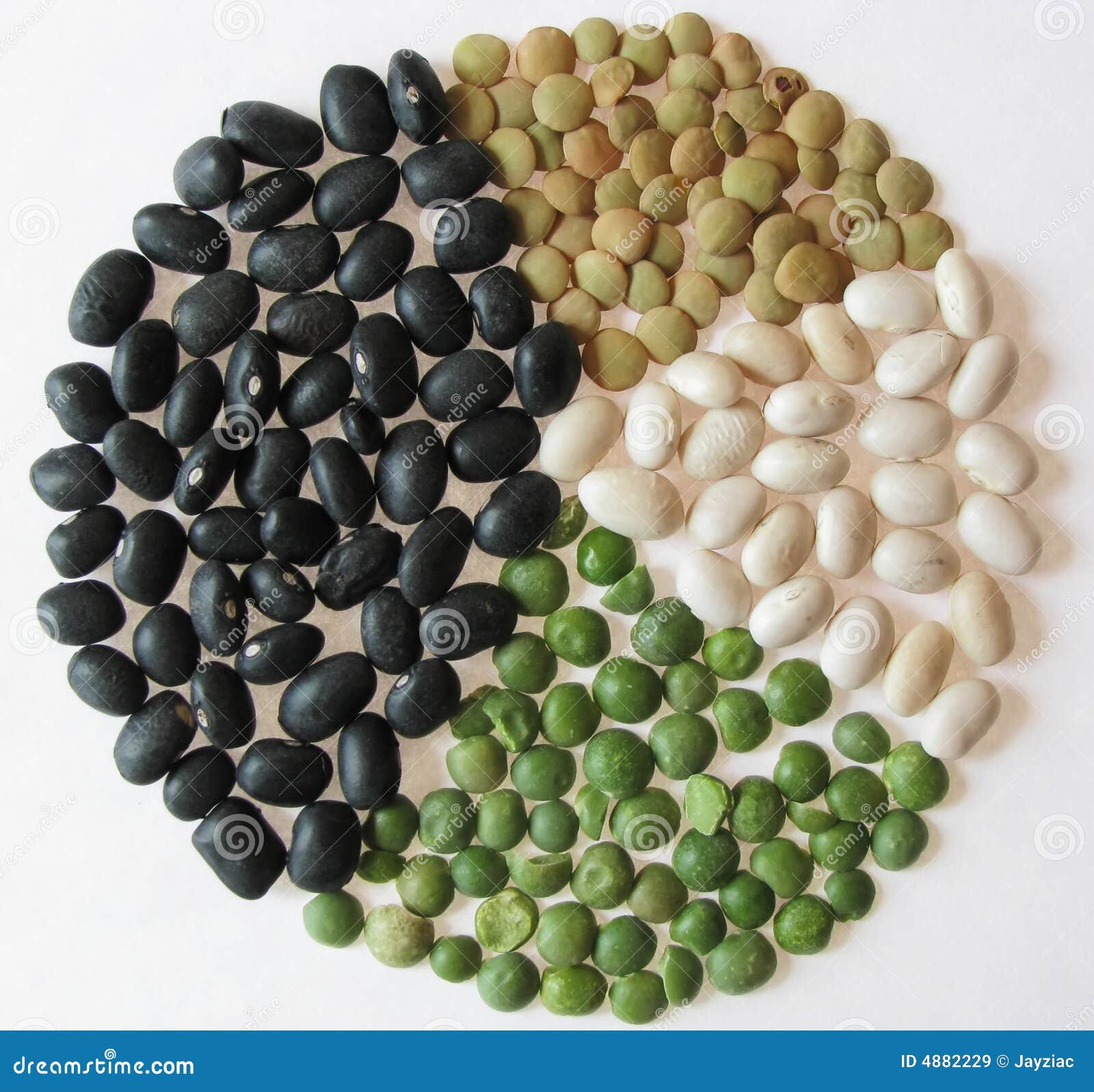 Beans Pie Chart stock image. Image of split, chart, beans - 4882229