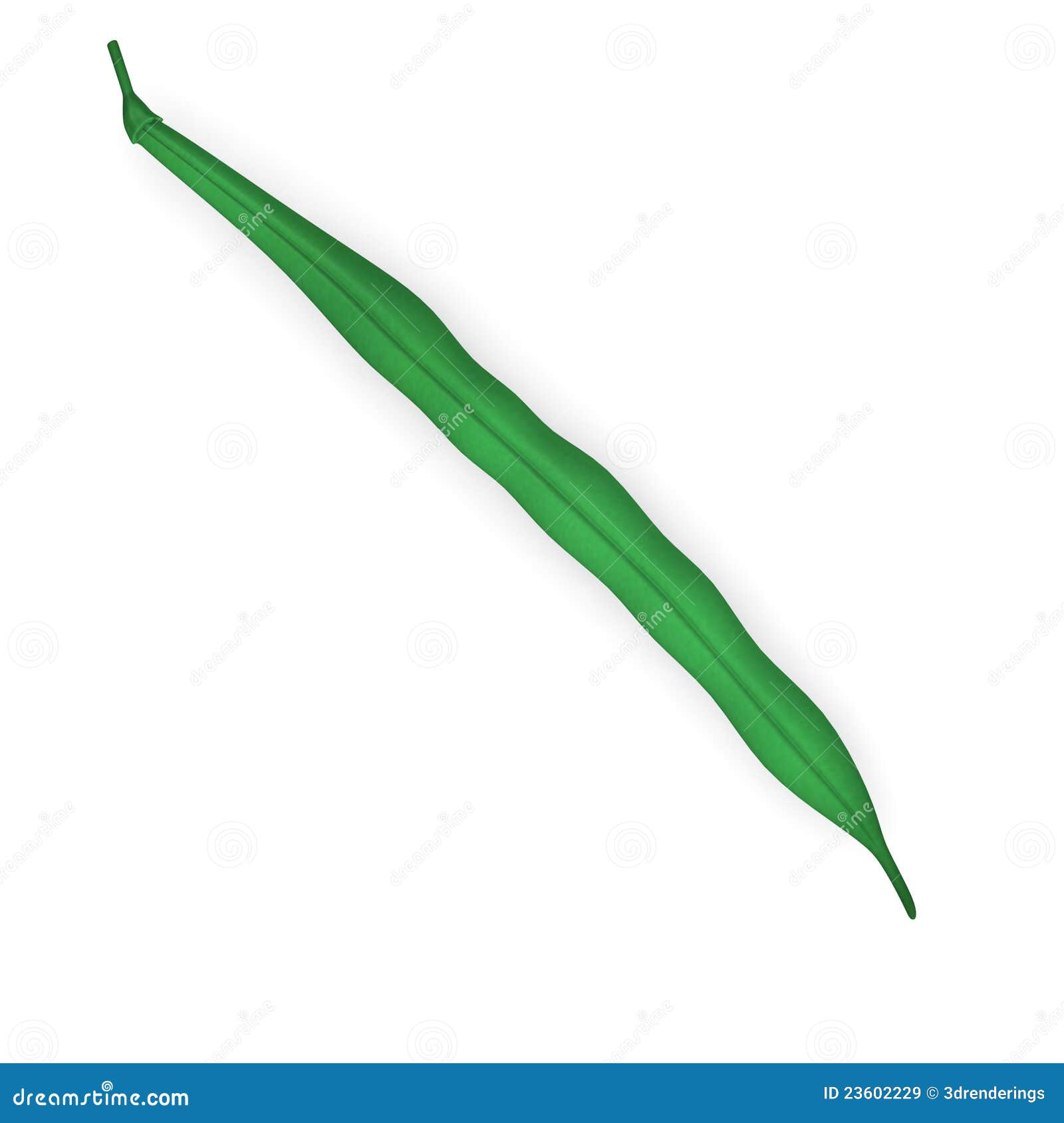 Beans pod stock illustration. Illustration of diet, green - 23602229