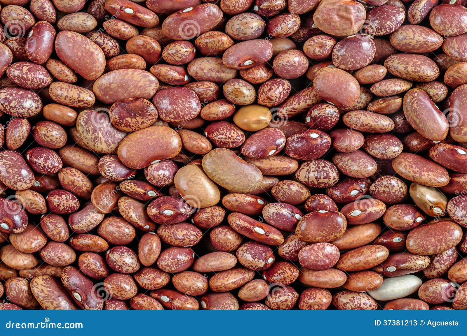 Beans, Red Pointed, Pinto Beans Stock Image - Image of nutrition, grain ...