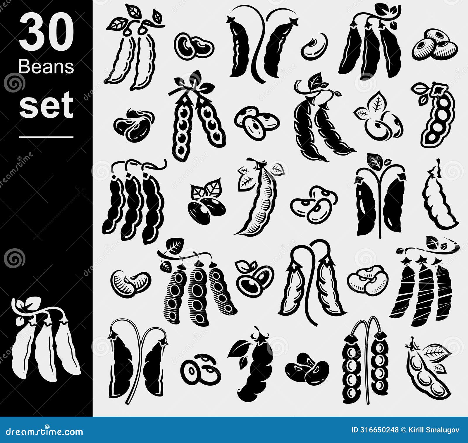 Beans Set. Collection Icon Bean Stock Vector - Illustration of nature ...