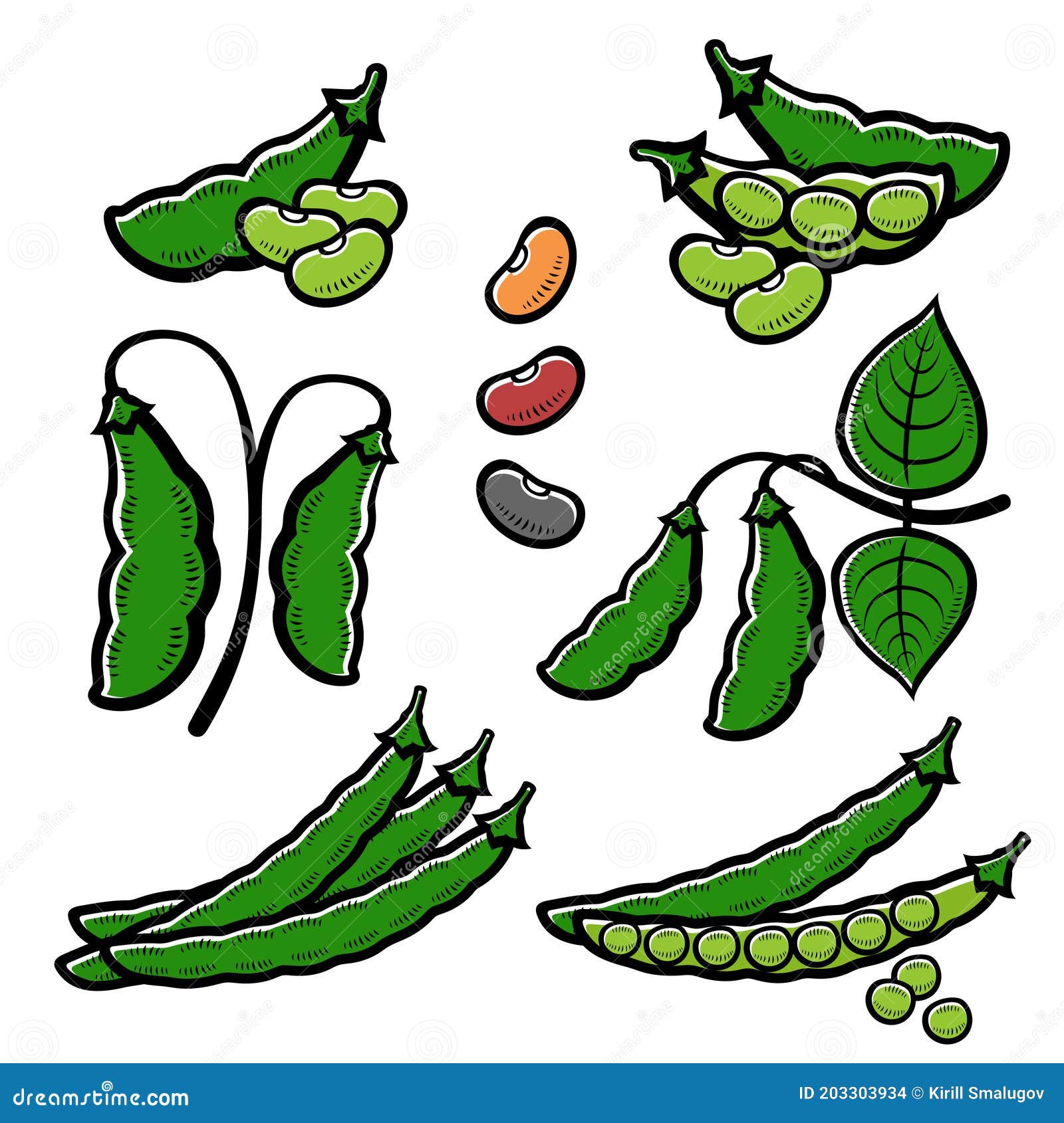 Beans Set. Collection Icon Beans Stock Vector - Illustration of human, legumes: 203303934