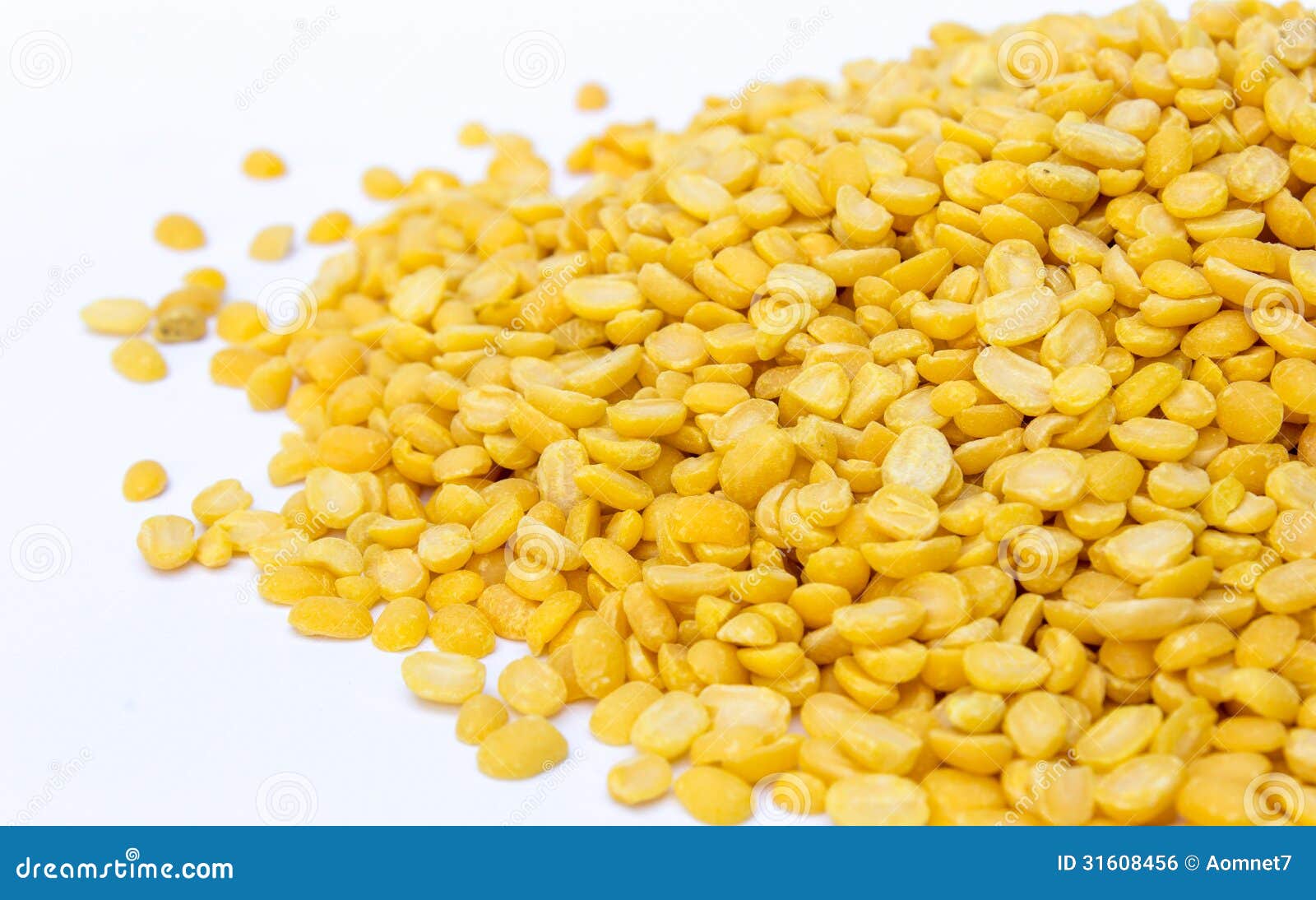 Beans stock photo. Image of grain, energy, agriculture - 31608456