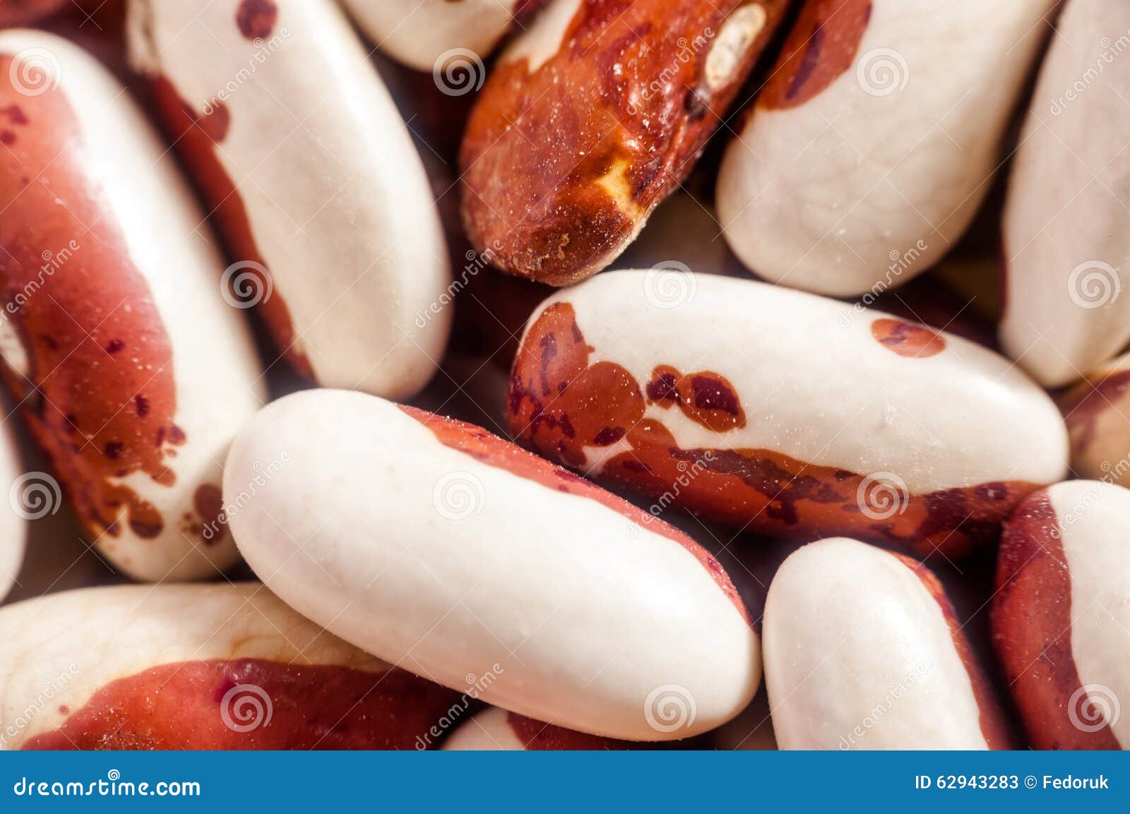 Beans spotted close-up stock image. Image of organic - 62943283