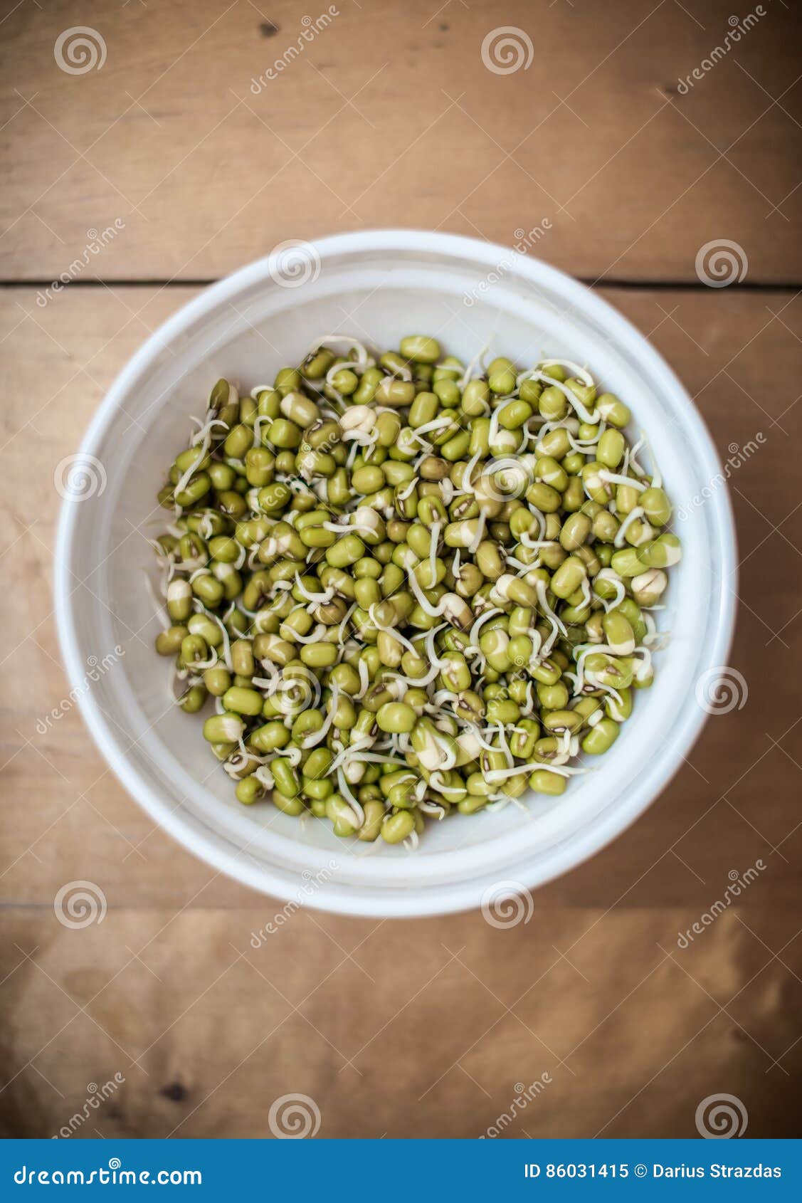 Beans with sprouts stock image. Image of vitamin, growth - 86031415