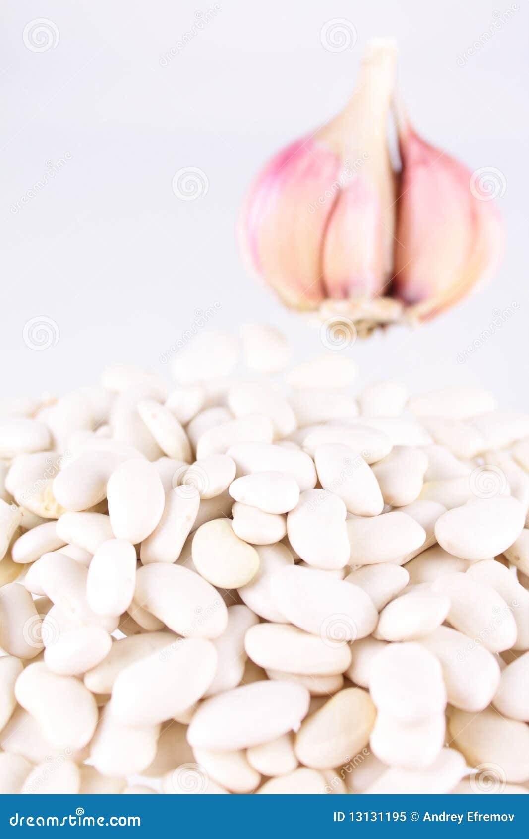 Beans of a String Bean Against Garlick Bulb Stock Image - Image of ...