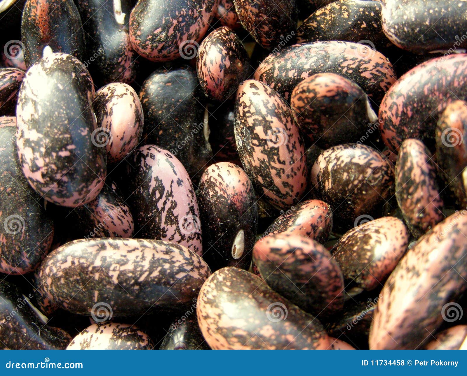 Beans texture stock photo. Image of anomalous, contrastive - 11734458