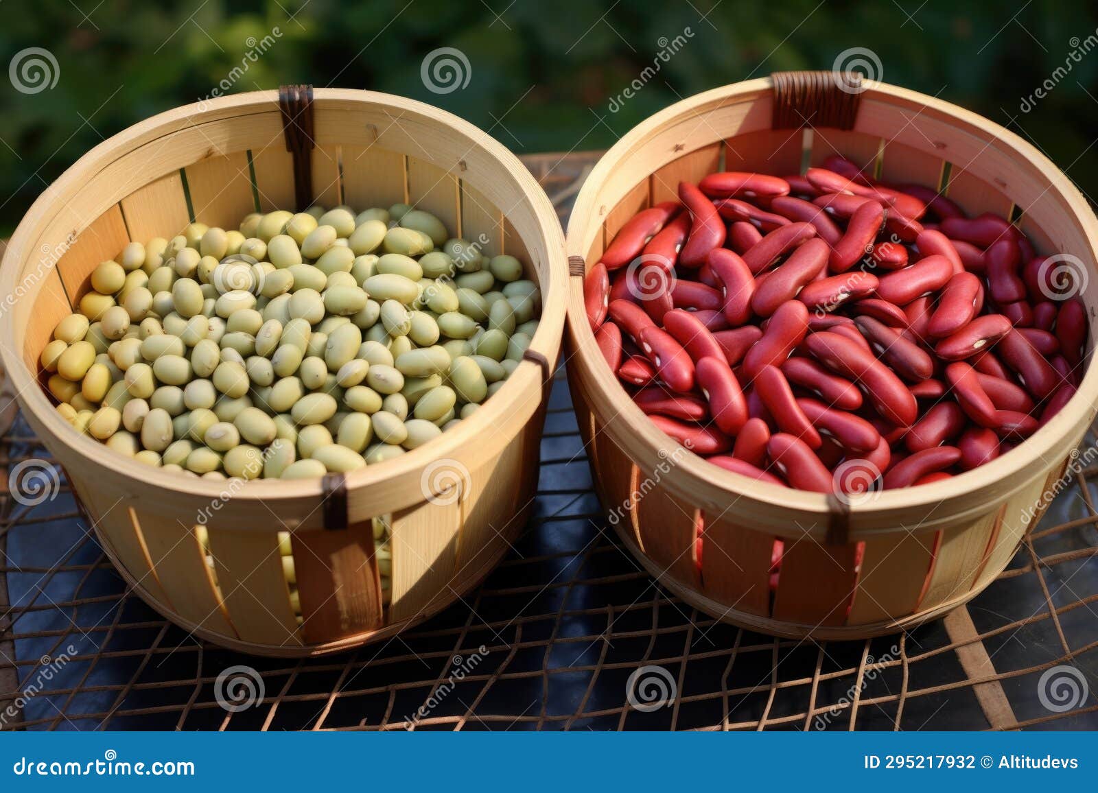 Beans in Two Baskets of Similar Weight Stock Photo - Image of harvest ...