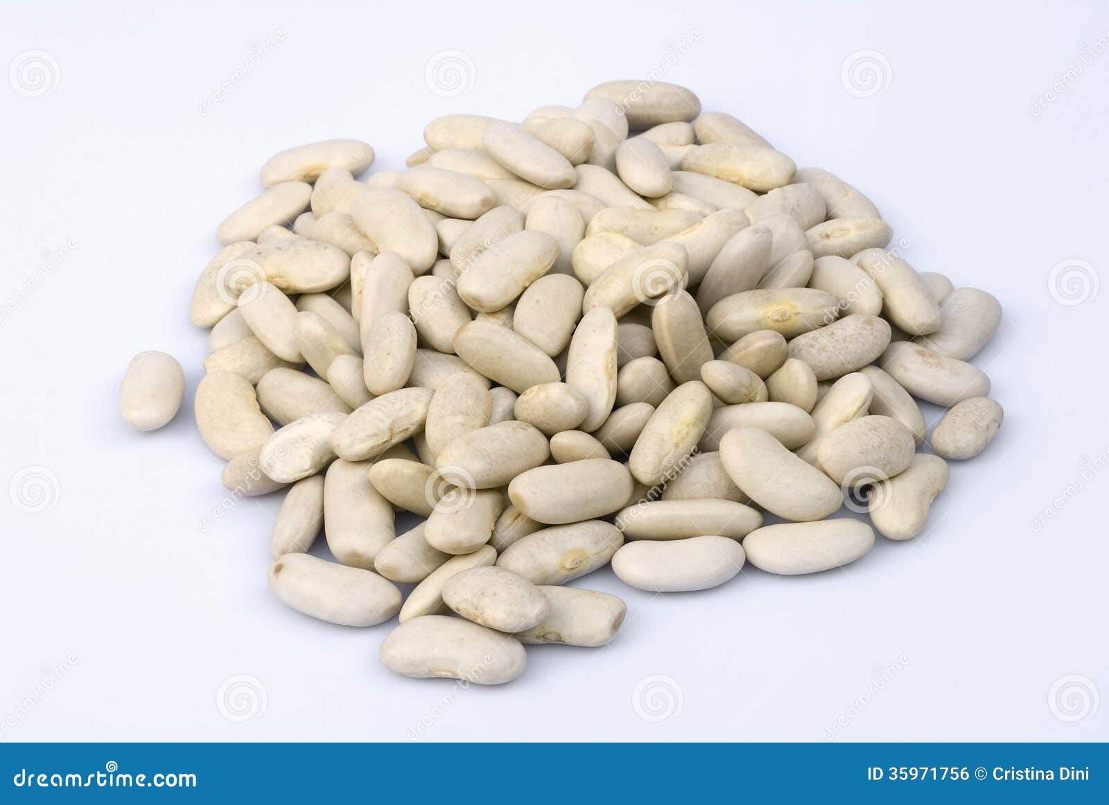 Beans on white background stock photo. Image of food - 35971756