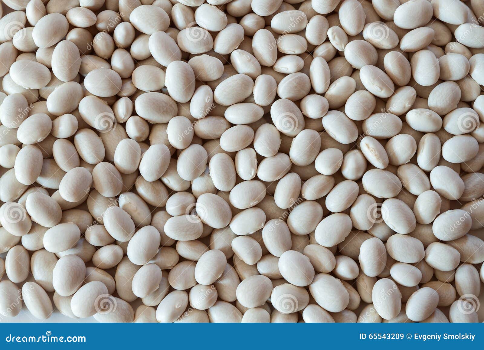 Beans white haricot stock image. Image of heap, plant - 65543209