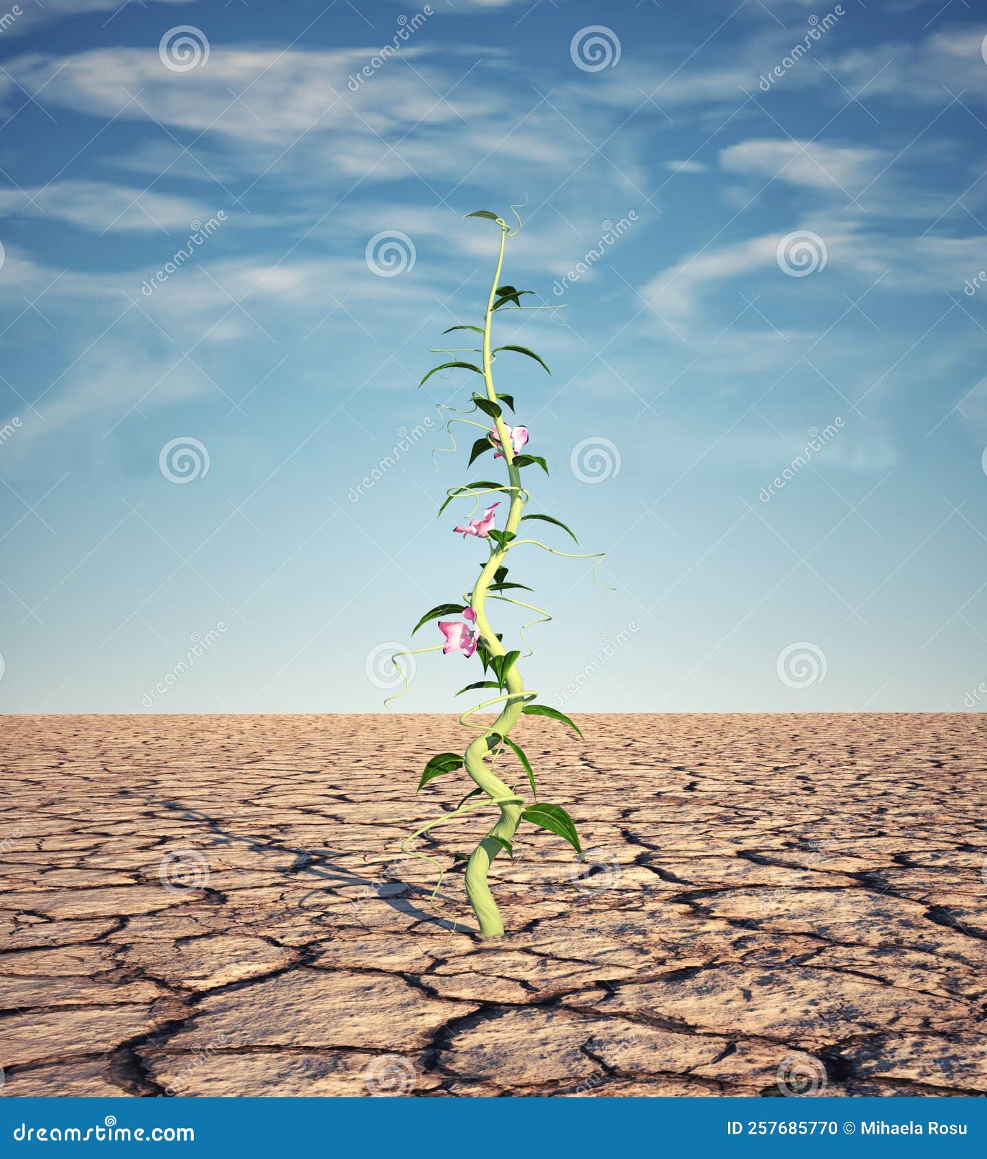 Beanstalk Grows in Dry Land Stock Illustration - Illustration of ...