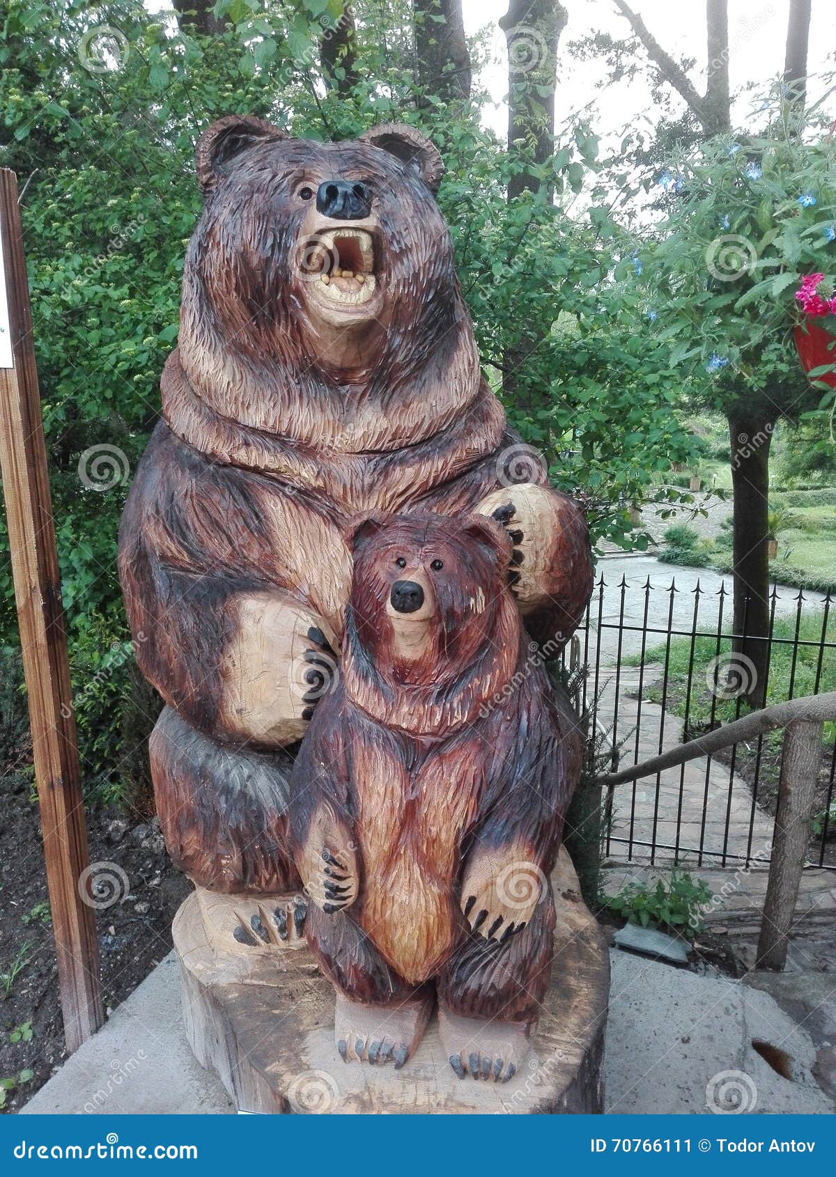 Bear stock image. Image of veliko, nature, bulgaria, bear - 70766111