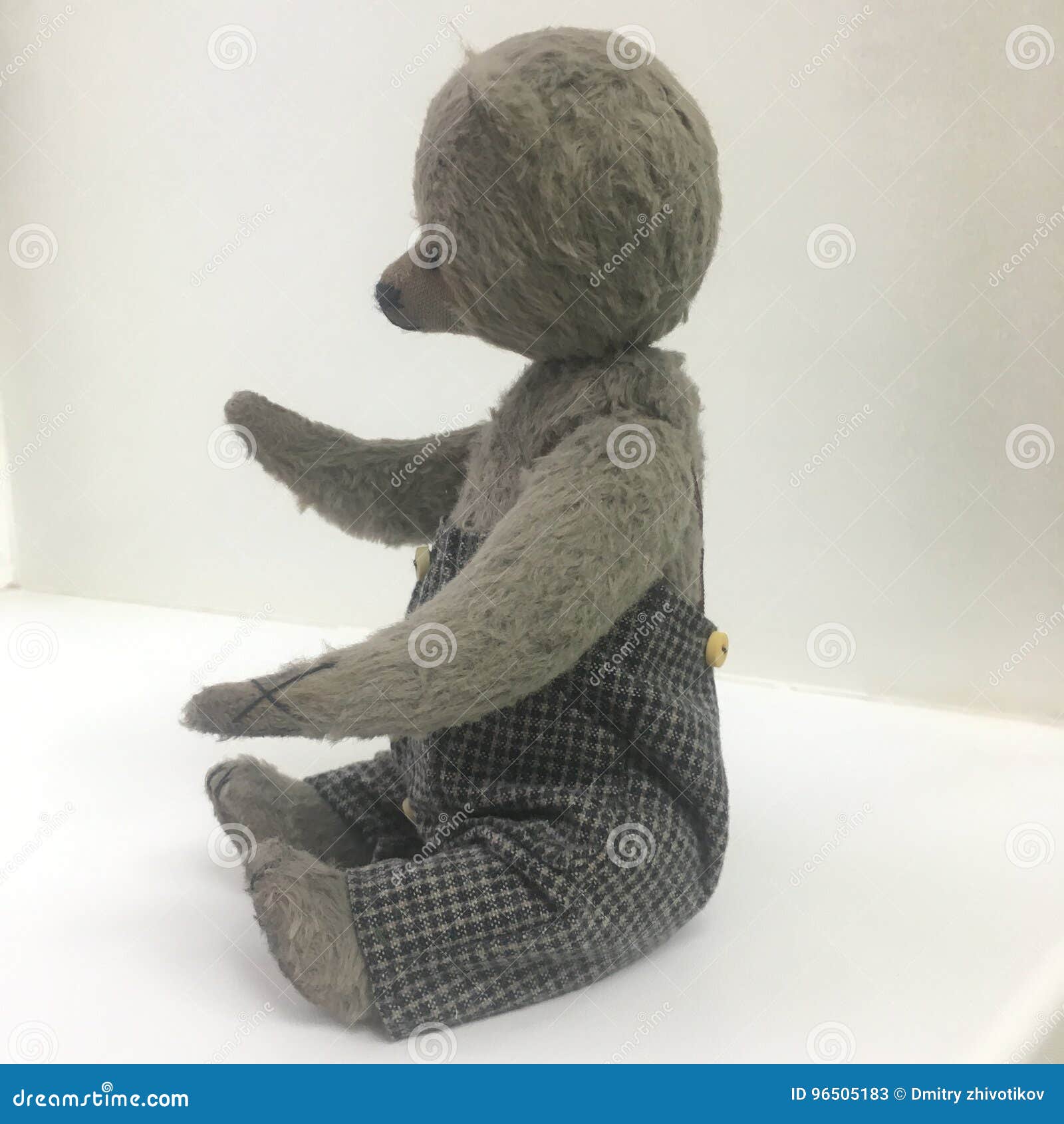 Bear bears taddy teddy stock image. Image of bears, teddy - 96505183