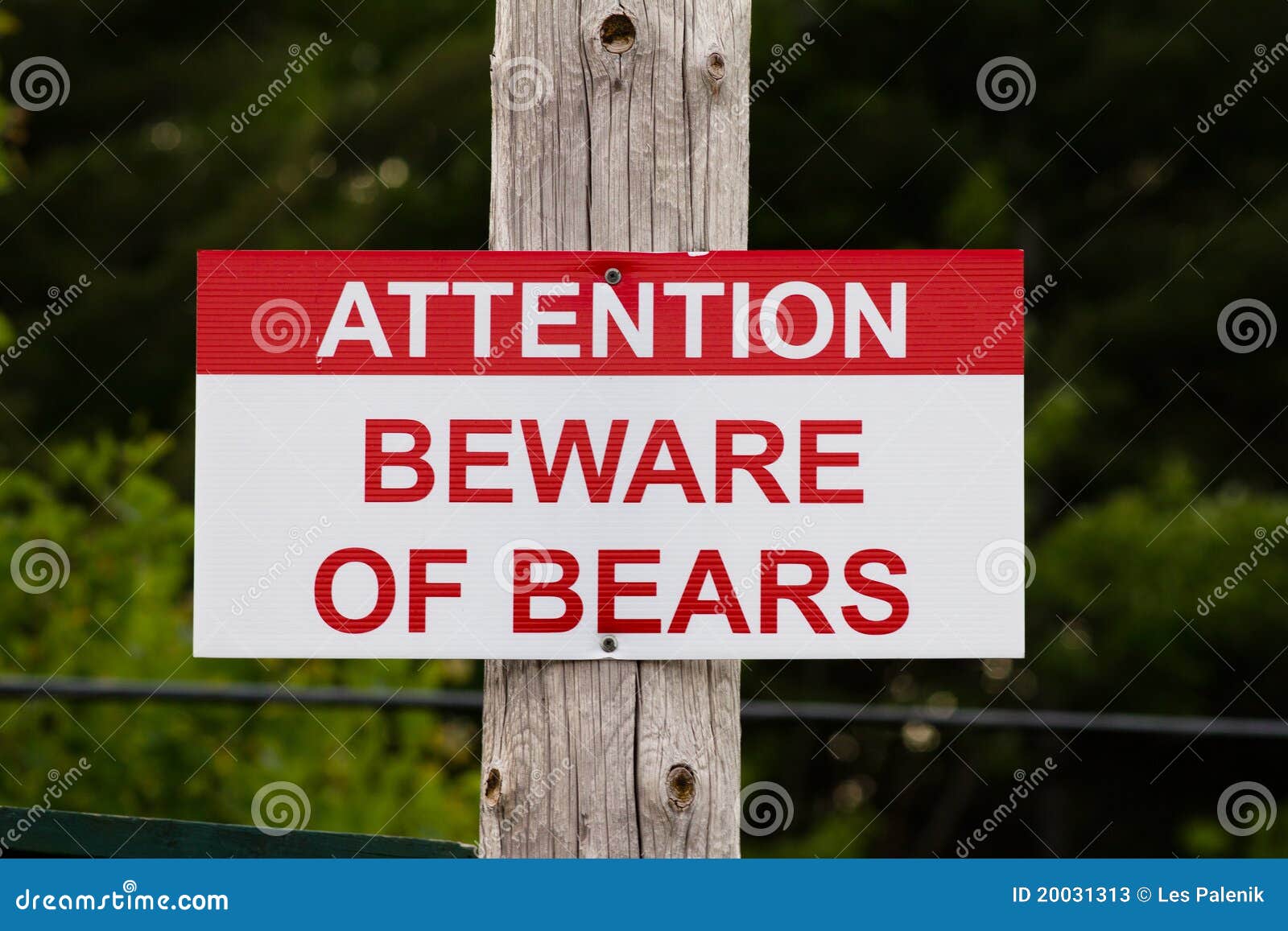 Bear Beware Sign stock image. Image of notice, sign, warning - 20031313