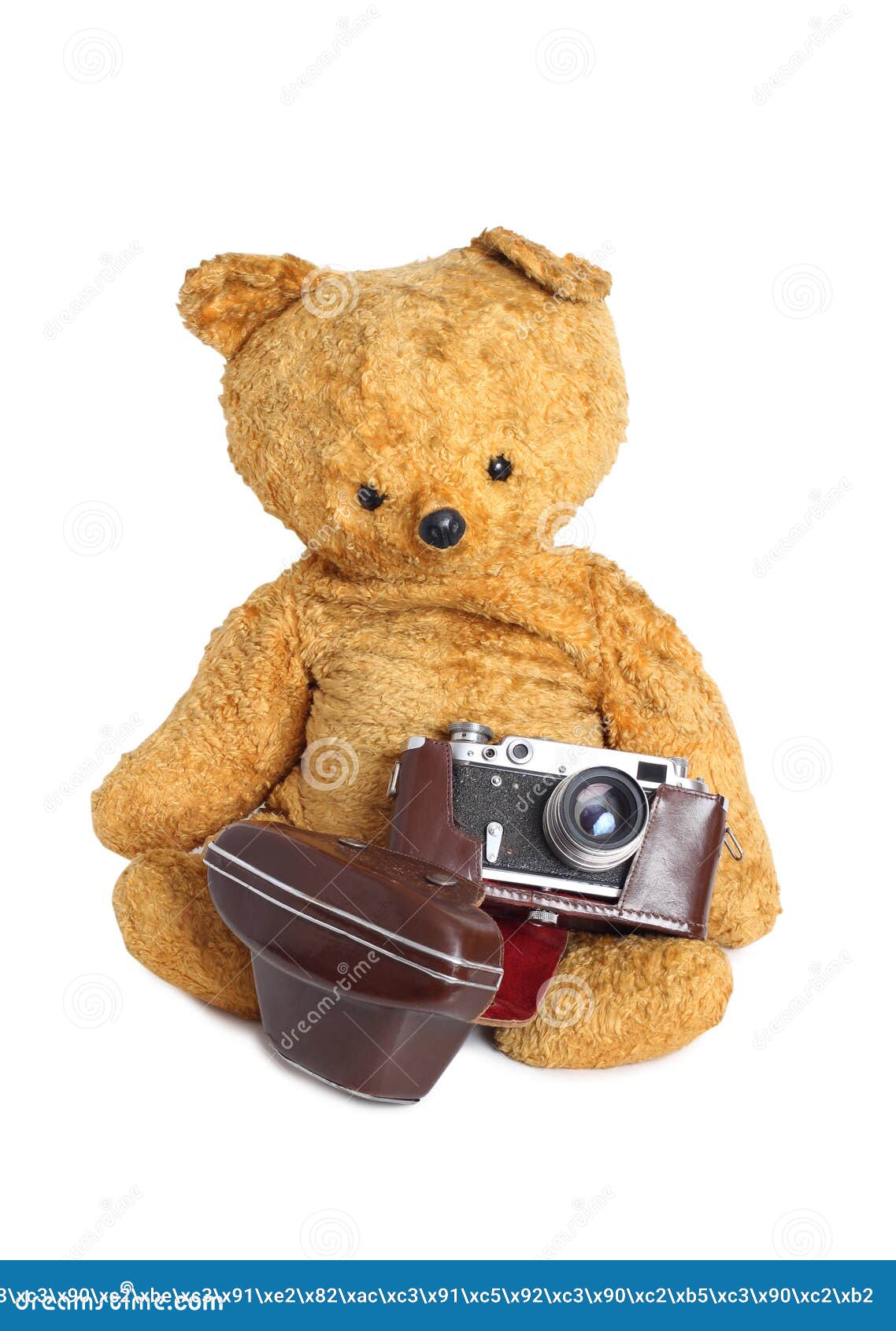 Bear with camera one stock photo. Image of photographer - 152332102