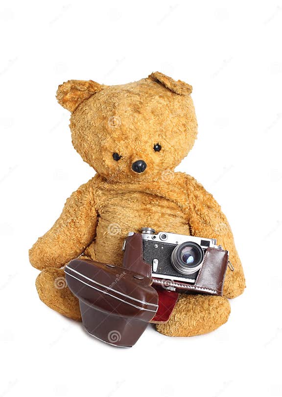 Bear with camera one stock photo. Image of photographer - 152332102