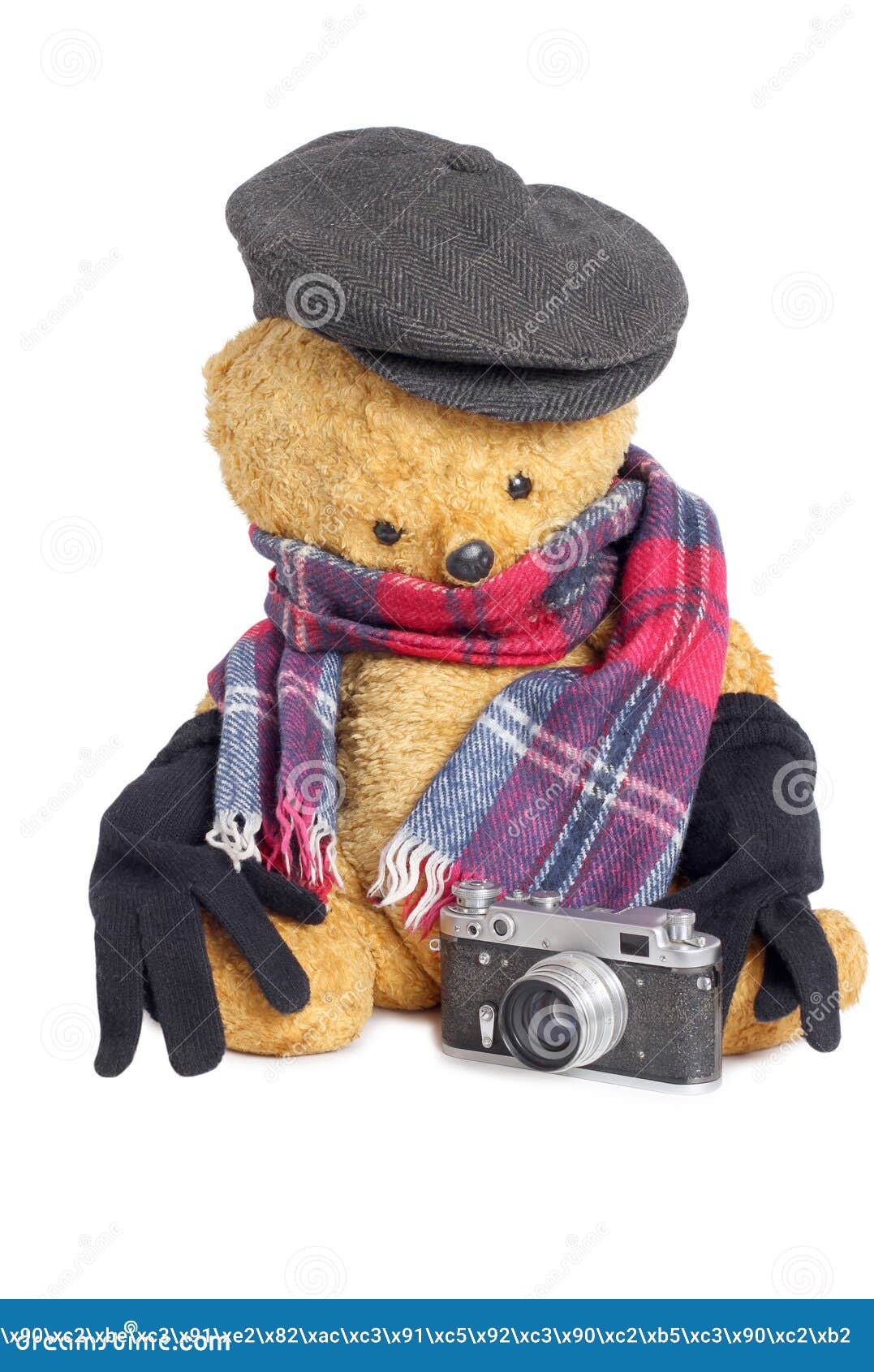 Bear with camera seven stock image. Image of plush, tourist - 152332079