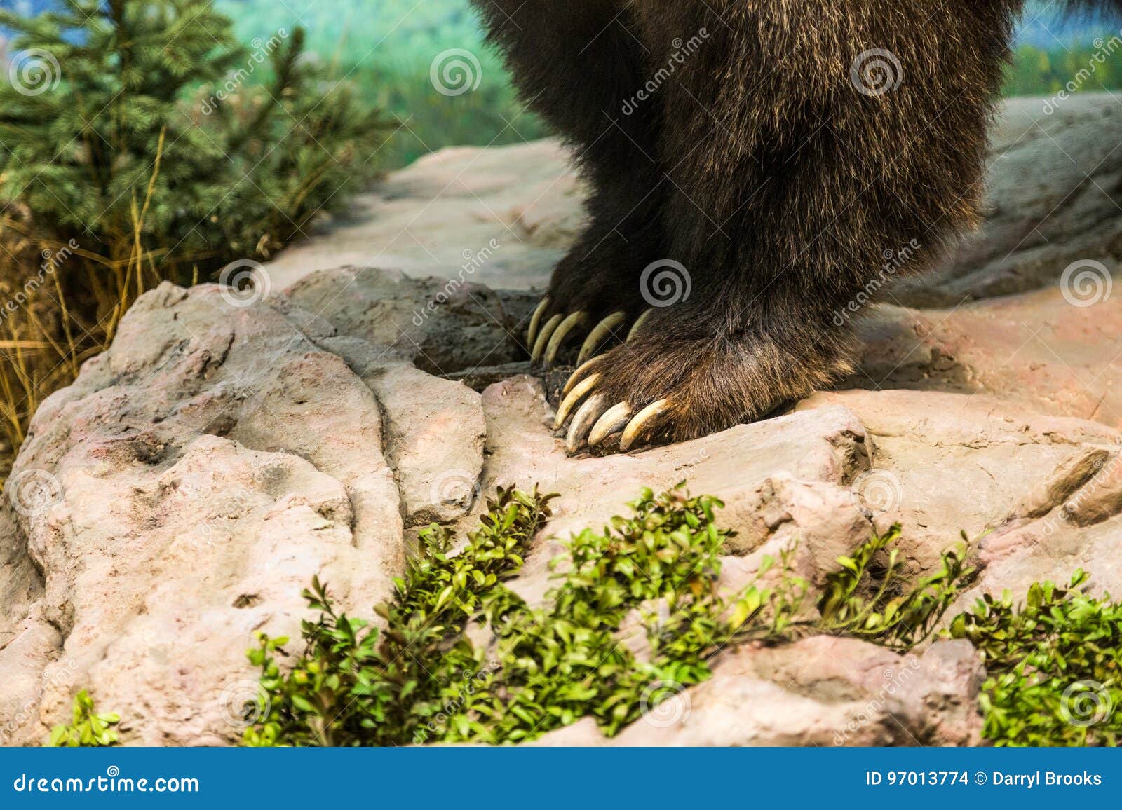 Sharp Bear Trap Stock Photo | CartoonDealer.com #26520486