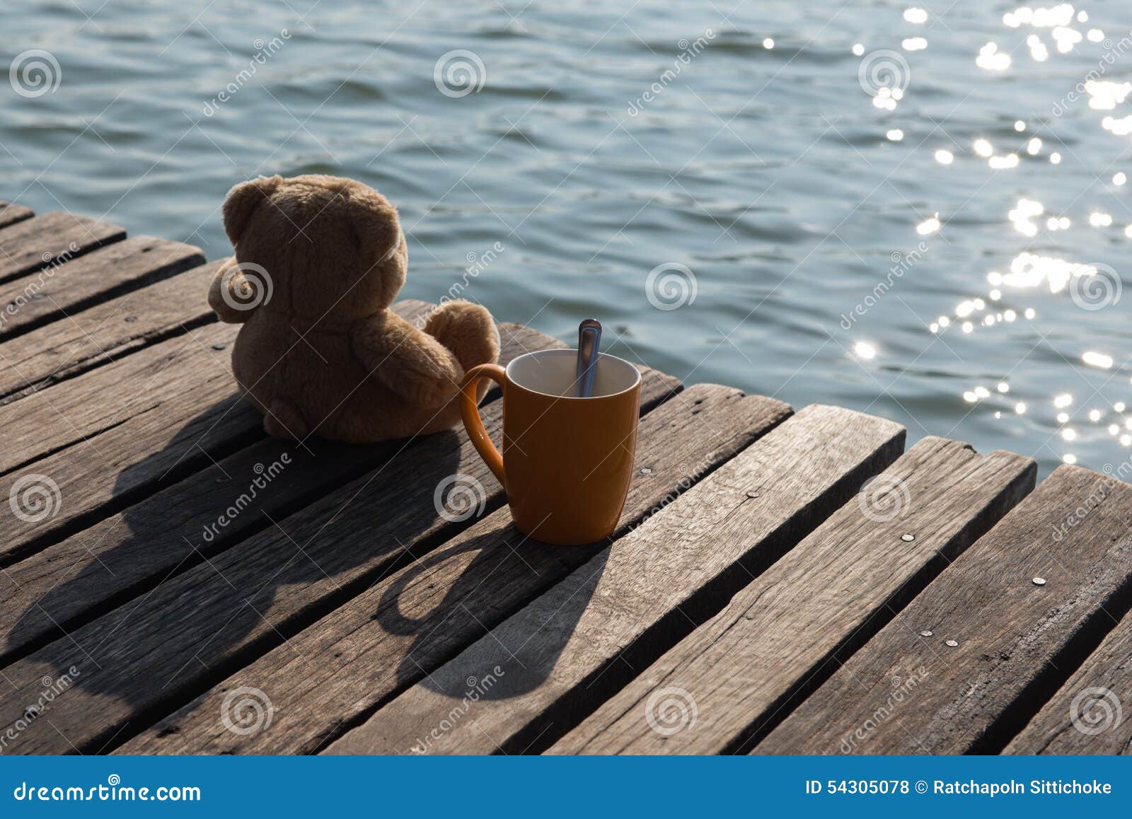 Bear Coffee stock photo. Image of cafe, eating, cookie - 54305078