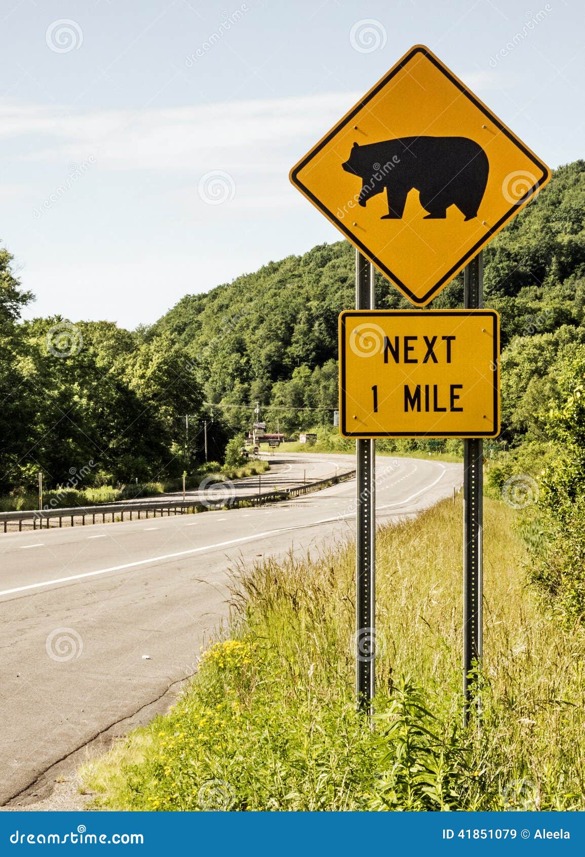 Bear Crossing Sign