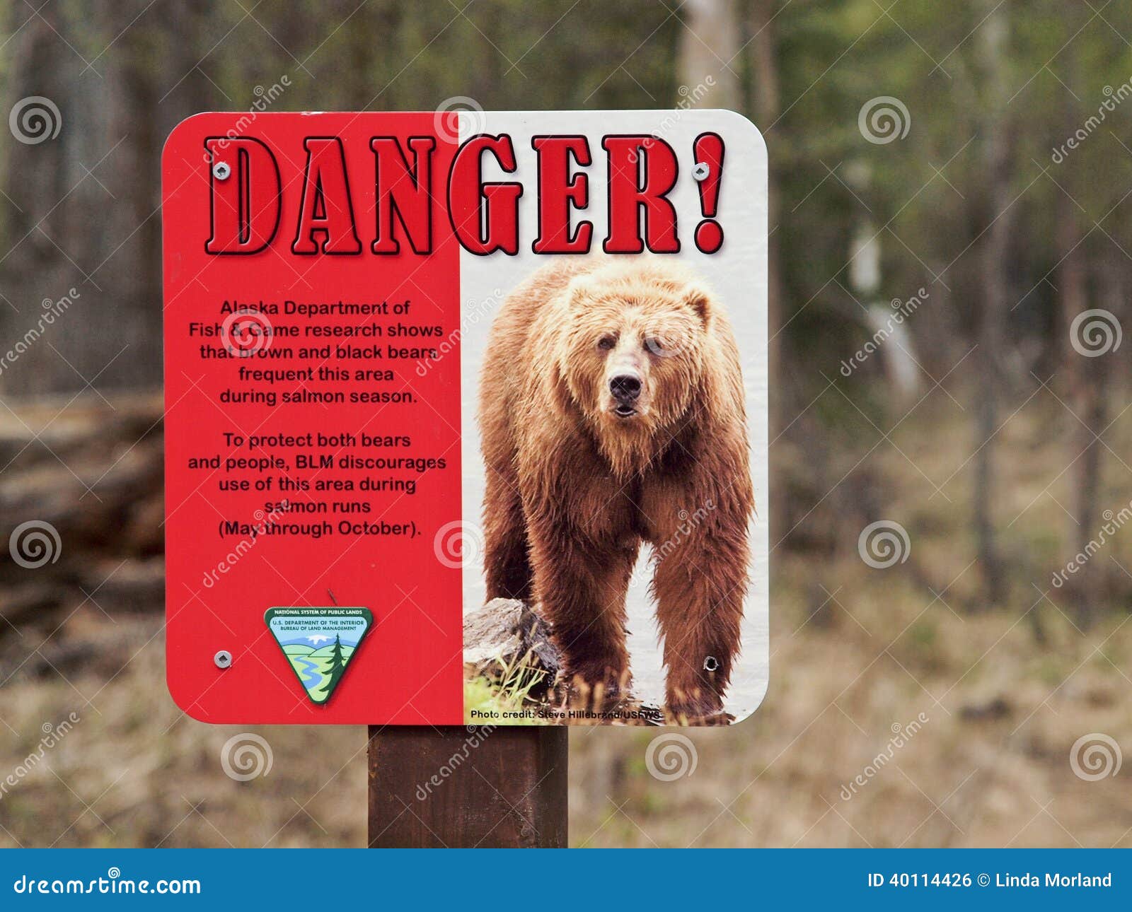 Grizzly Bear Warning