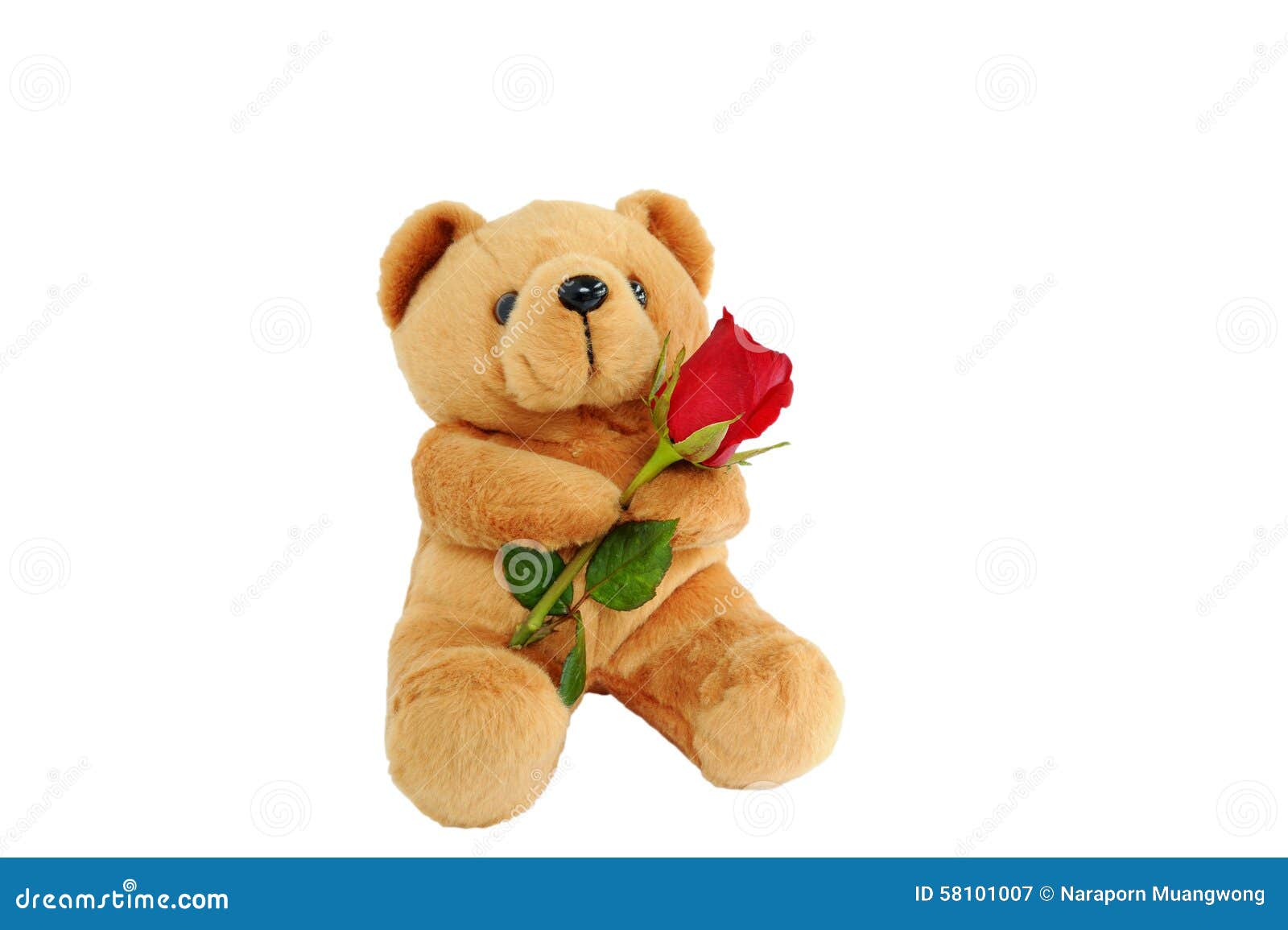 Bear doll holding a rose stock image. Image of heart - 58101007