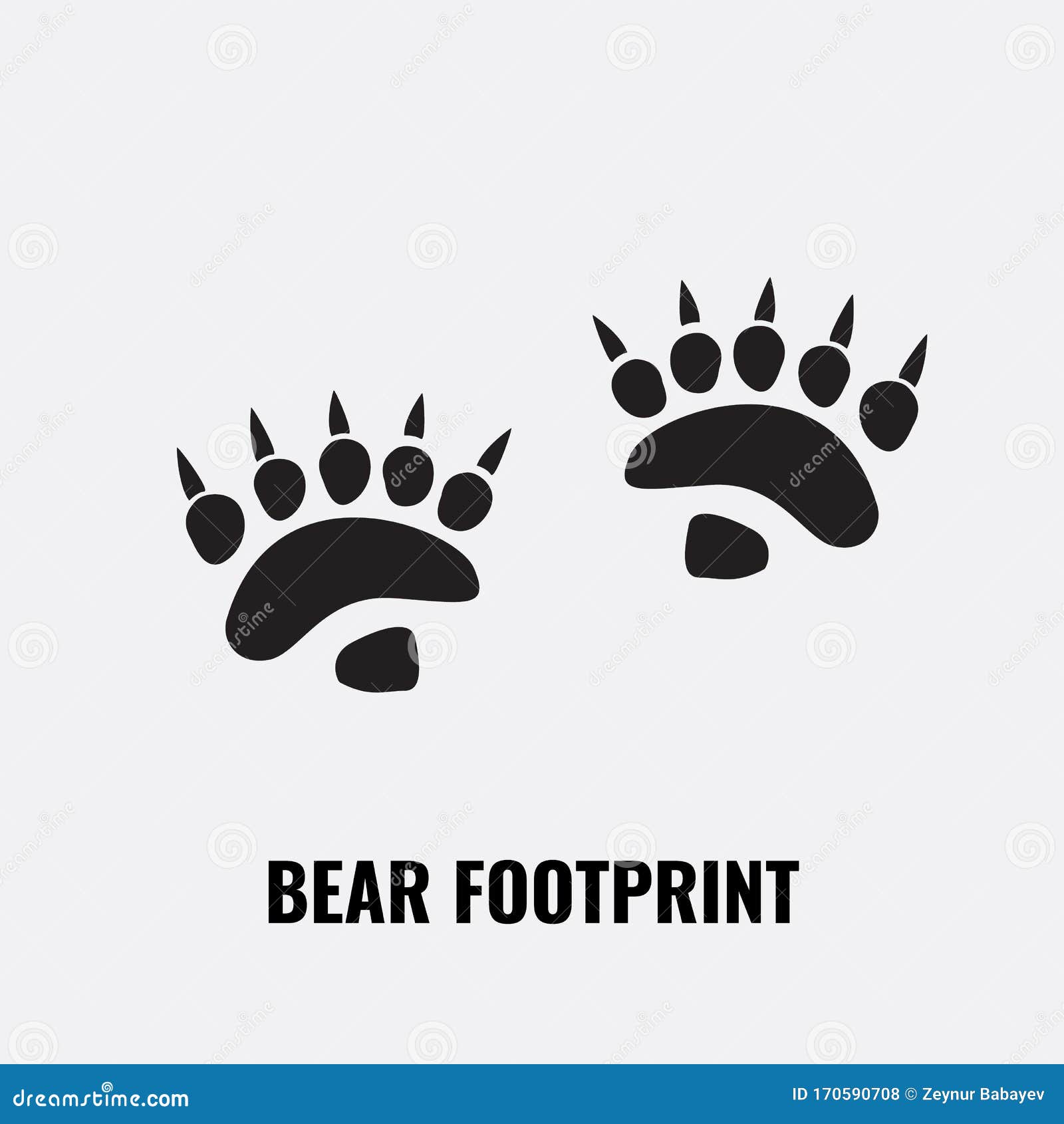 Bear Footprint Trails. Front and Back Footprints. Vector Illustration ...