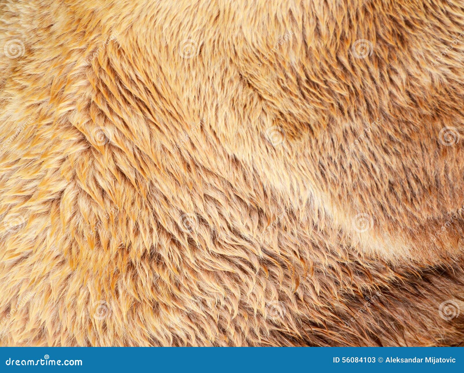 673 Texture Fur Teddy Bear Photos - Free & Royalty-Free Stock Photos ...