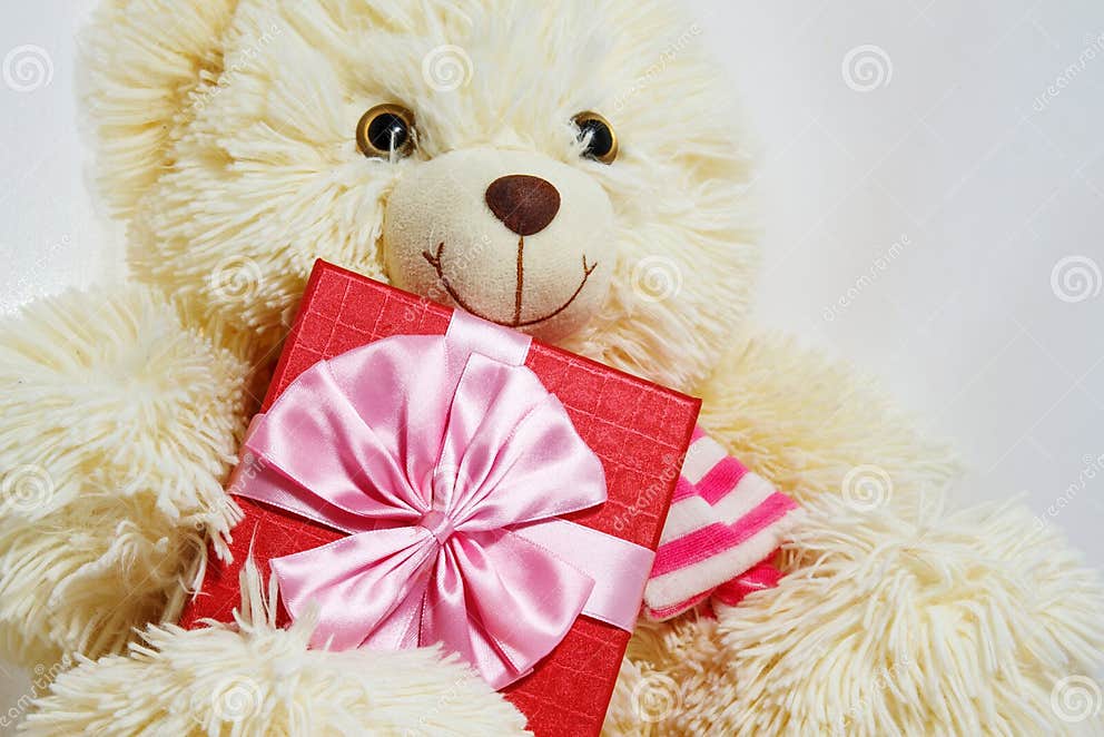 Bear with a gift box stock image. Image of celebration - 83982377