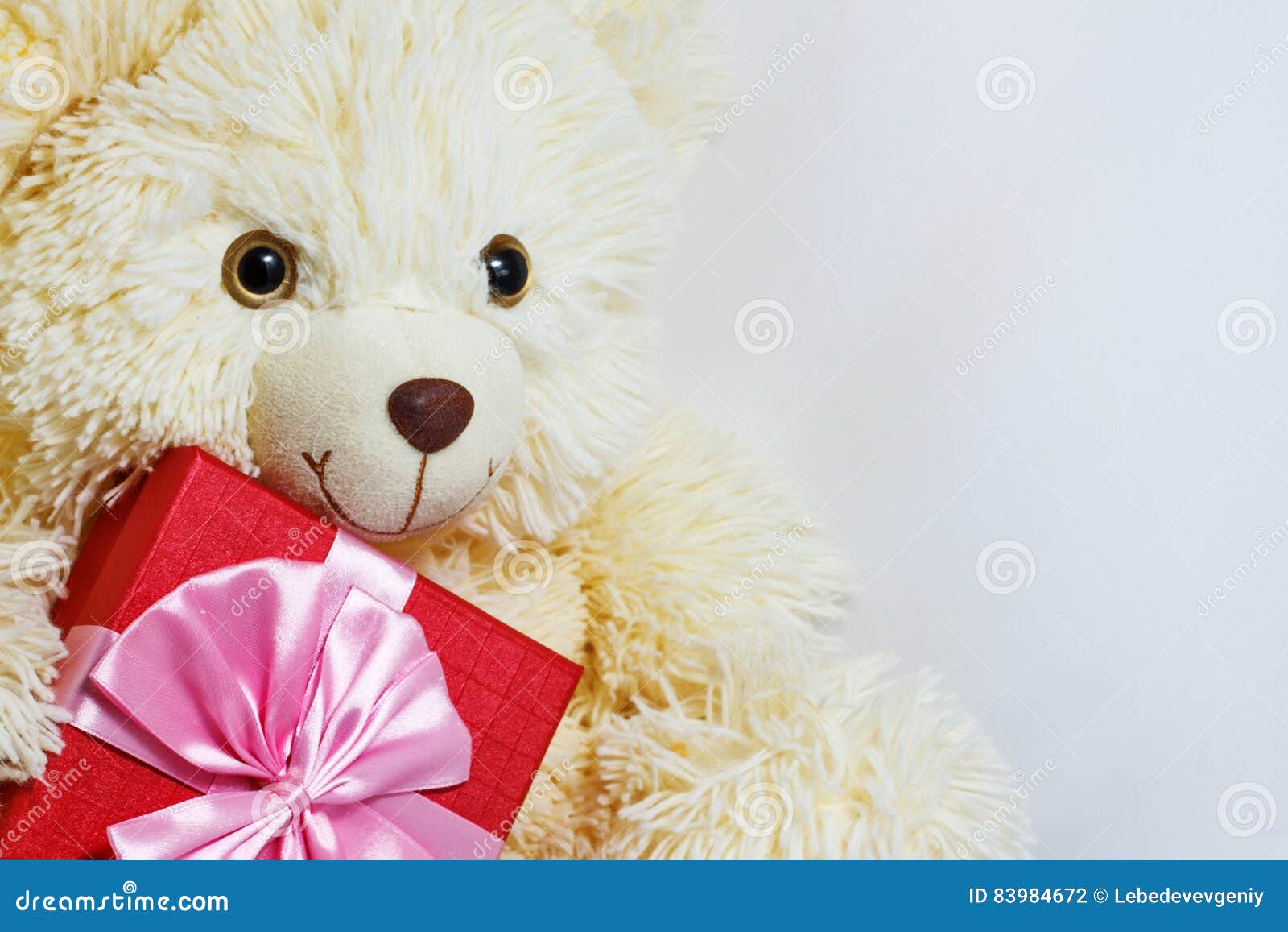 Bear with a gift box stock photo. Image of love, bear - 83984672