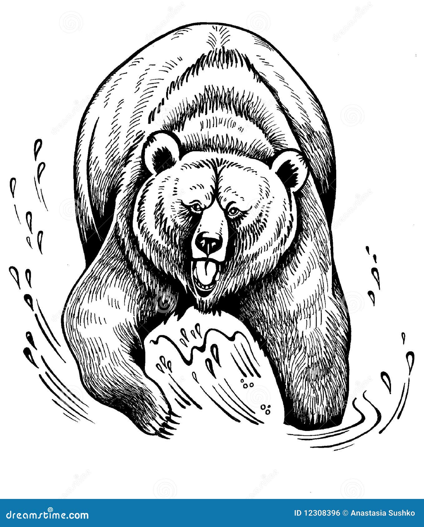 Grizzly Brown Bear And Hare Or Rabbit. Screaming Mad Animal For Tattoo ...