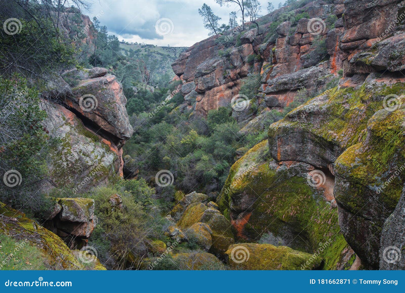 Ice Cave Trail Rock Frozen Waterfall Wildcat Mountain State Park In ...