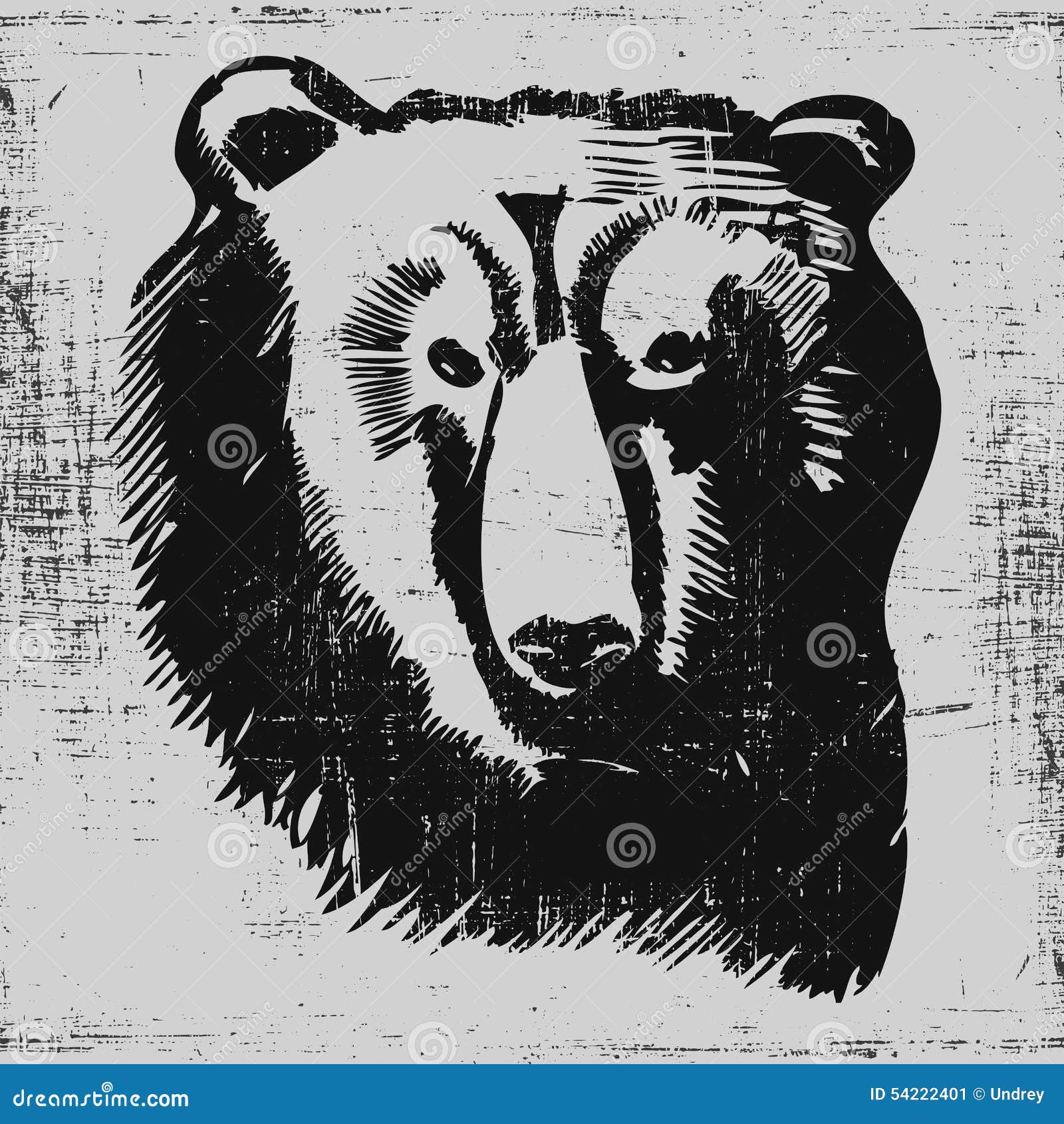 Bear Head Hand Drawn Sketch Grunge Texture Stock Vector - Illustration ...