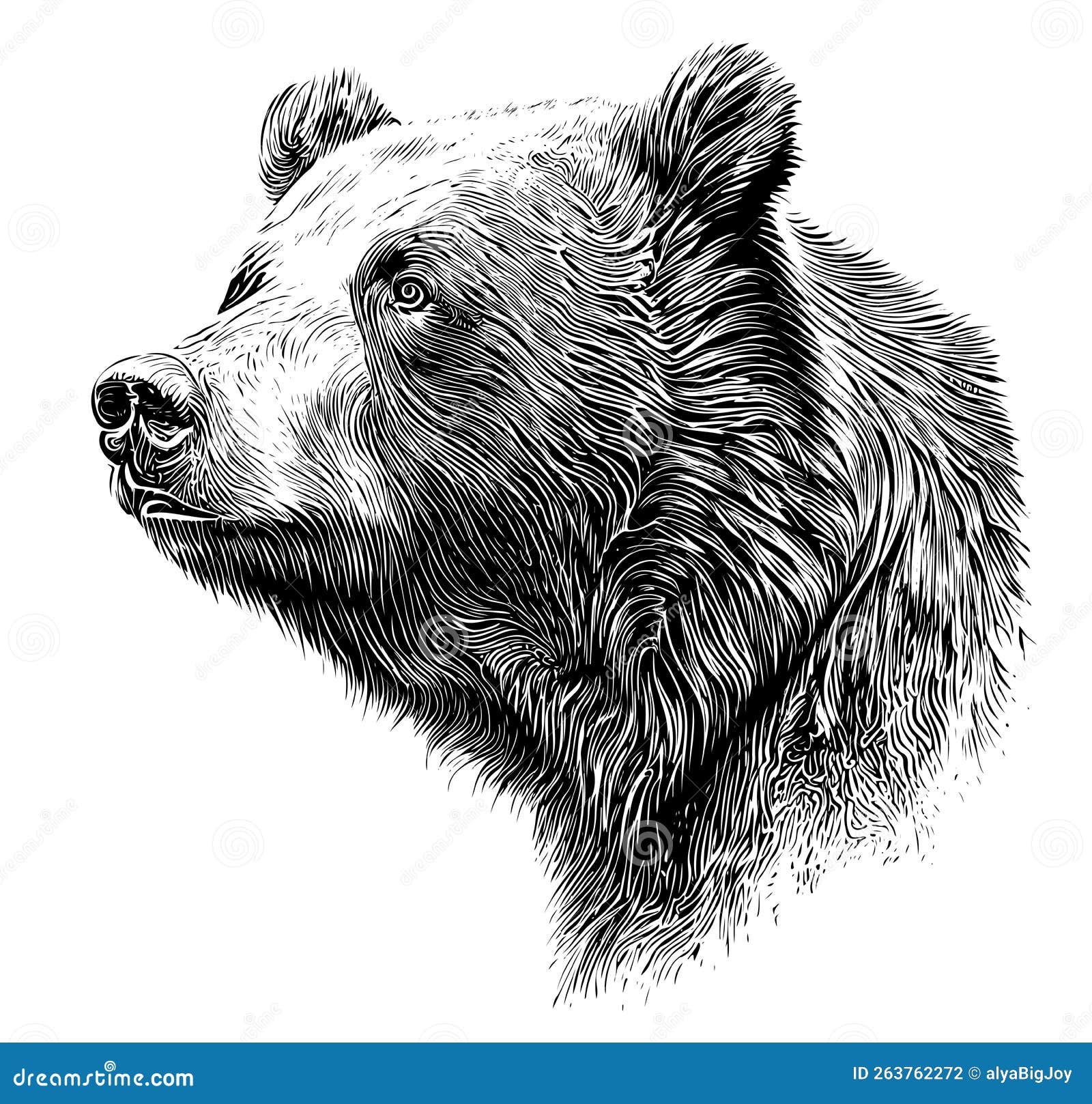 Bear Head Portrait Sketch Hand Drawn Sketch Stock Vector - Illustration ...