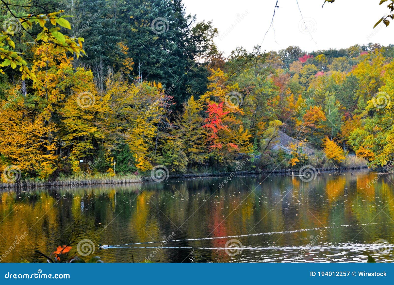 Bear Lake in the Autumn in Sovata, Romania Stock Image - Image of blue ...