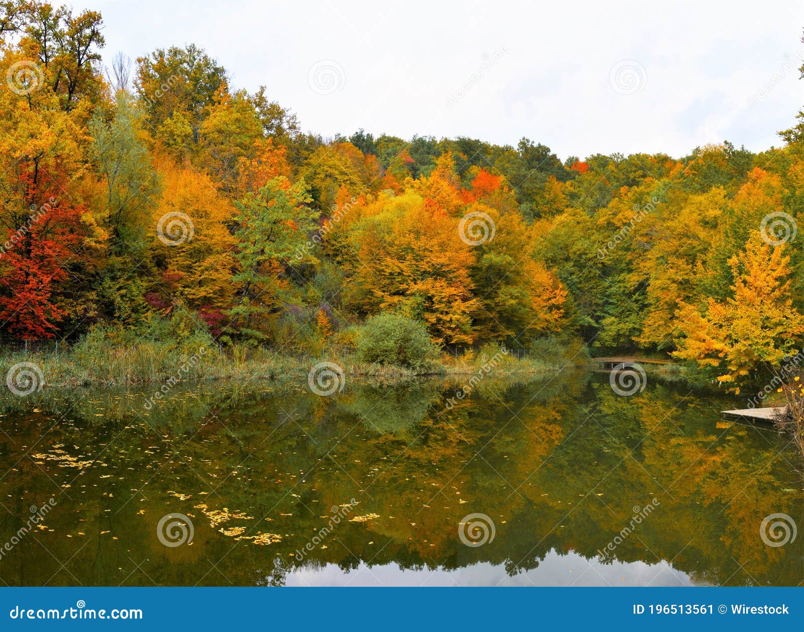 Bear Lake in the Autumn in Sovata, Romania Stock Image - Image of ...