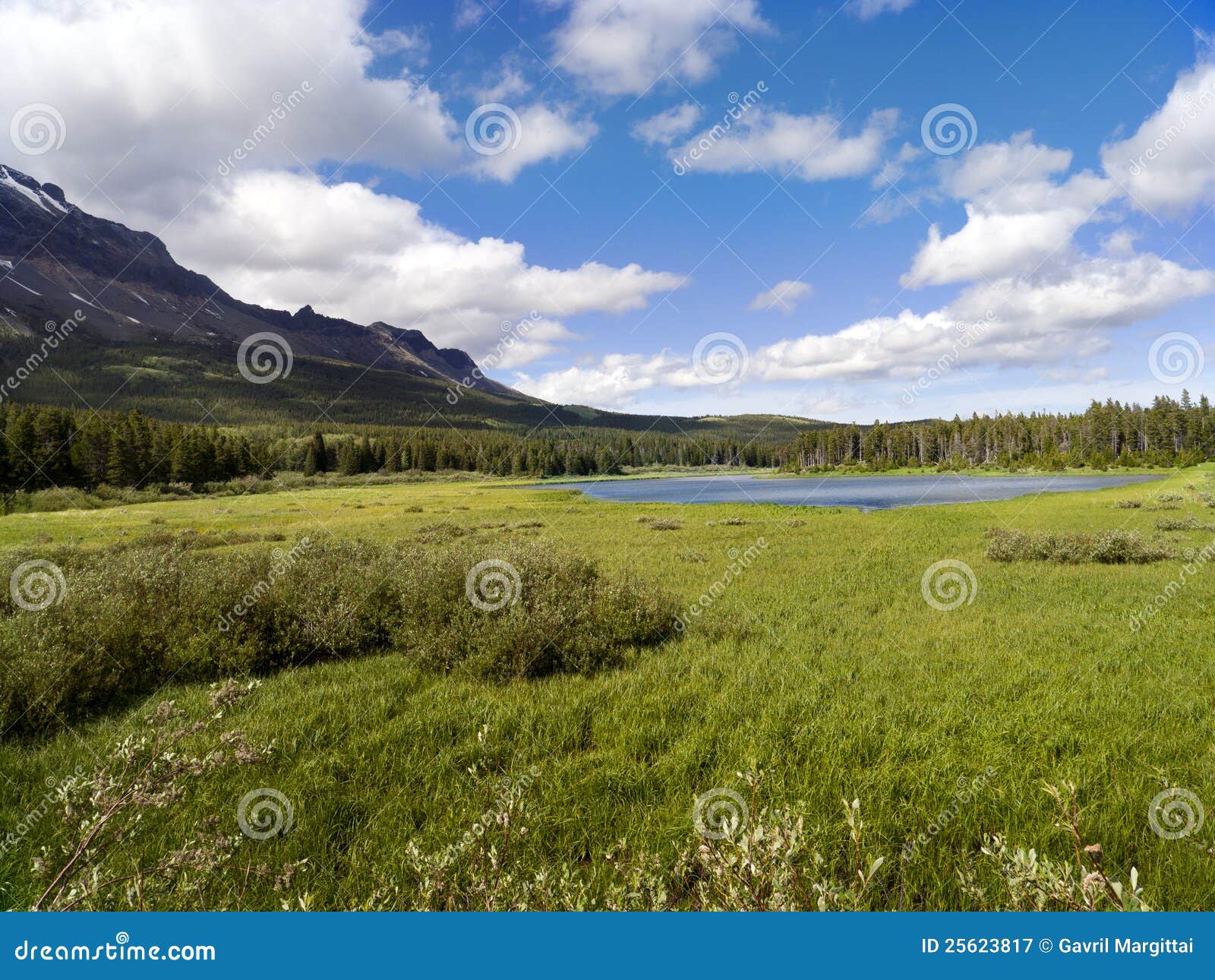 Bear Lake and wide meadow stock image. Image of nature - 25623817