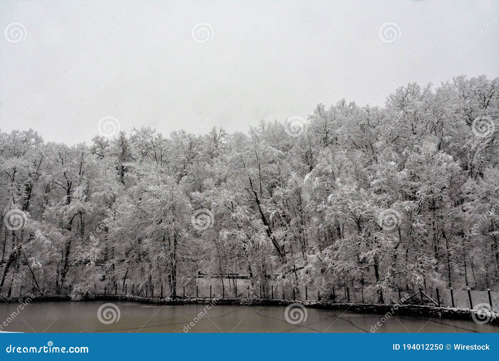 Bear Lake in the Winter in Sovata, Romania Stock Photo - Image of ...
