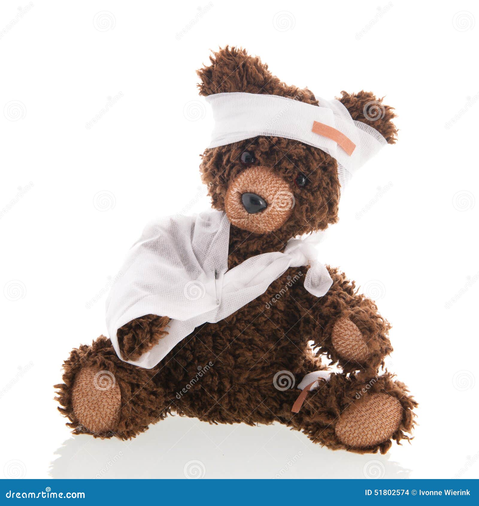 Bear with Pain Isolated Over White Background Stock Photo - Image of ...
