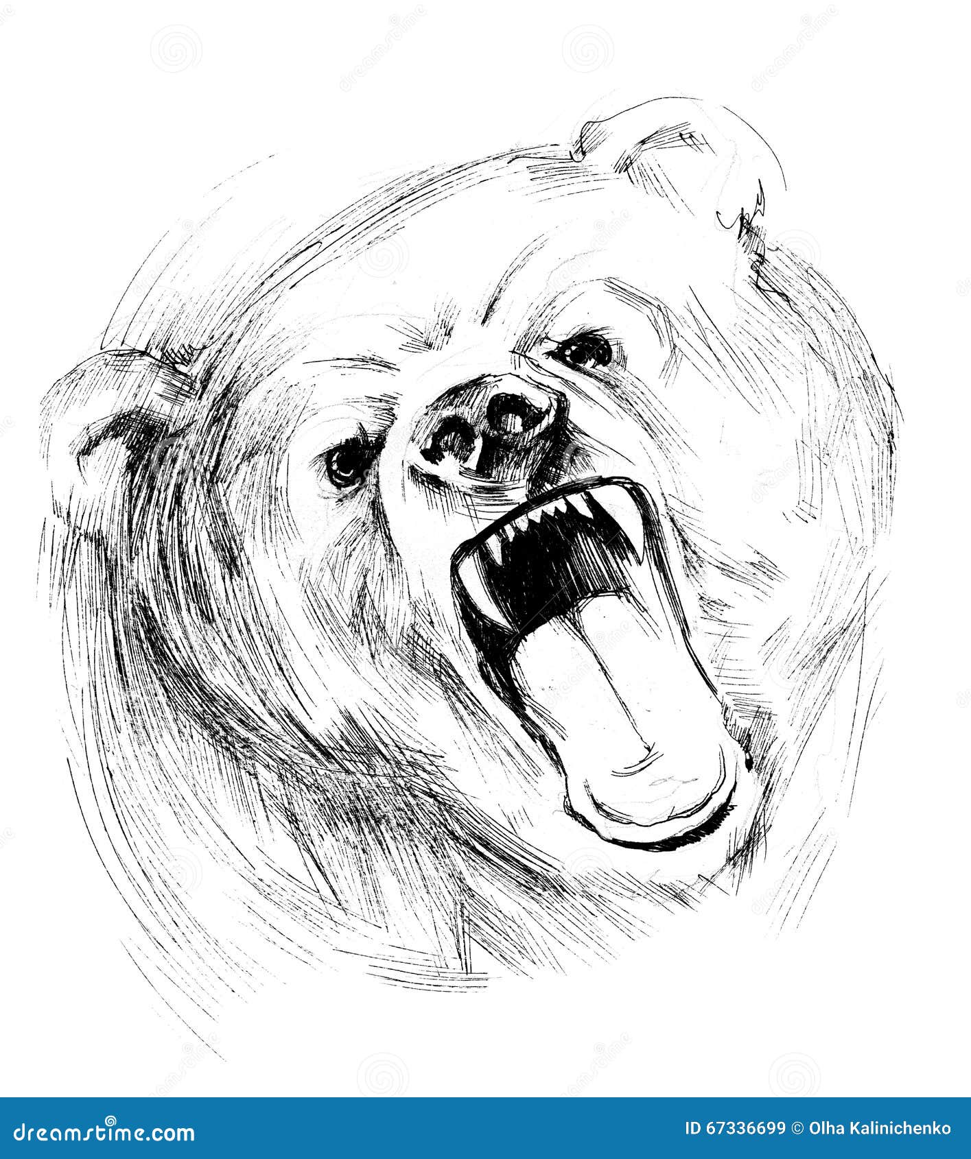 Bear stock illustration. Illustration of defense, factor - 67336699