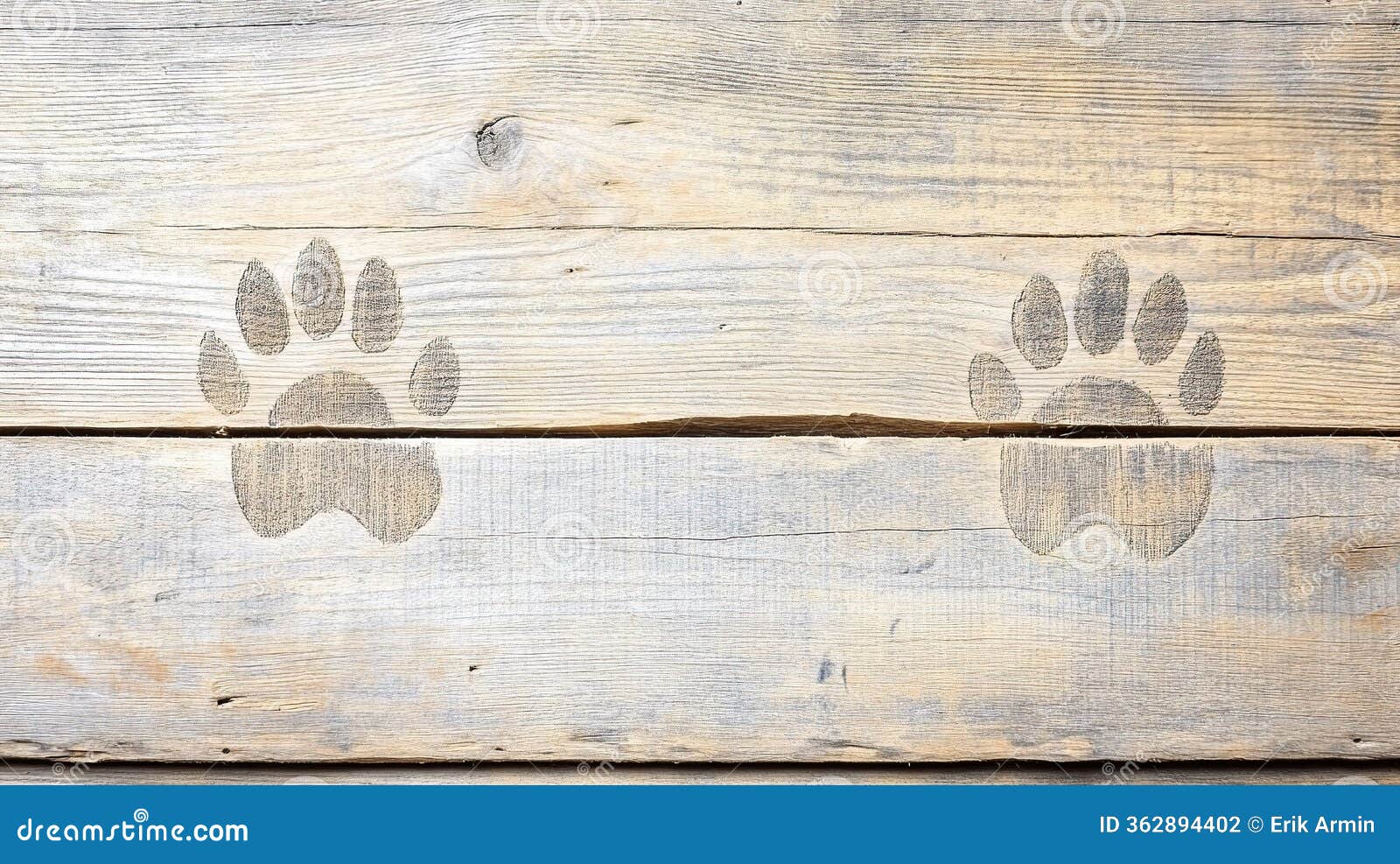 Bear Paw Prints on Rustic Wood Background, Nature Design Stock Photo ...