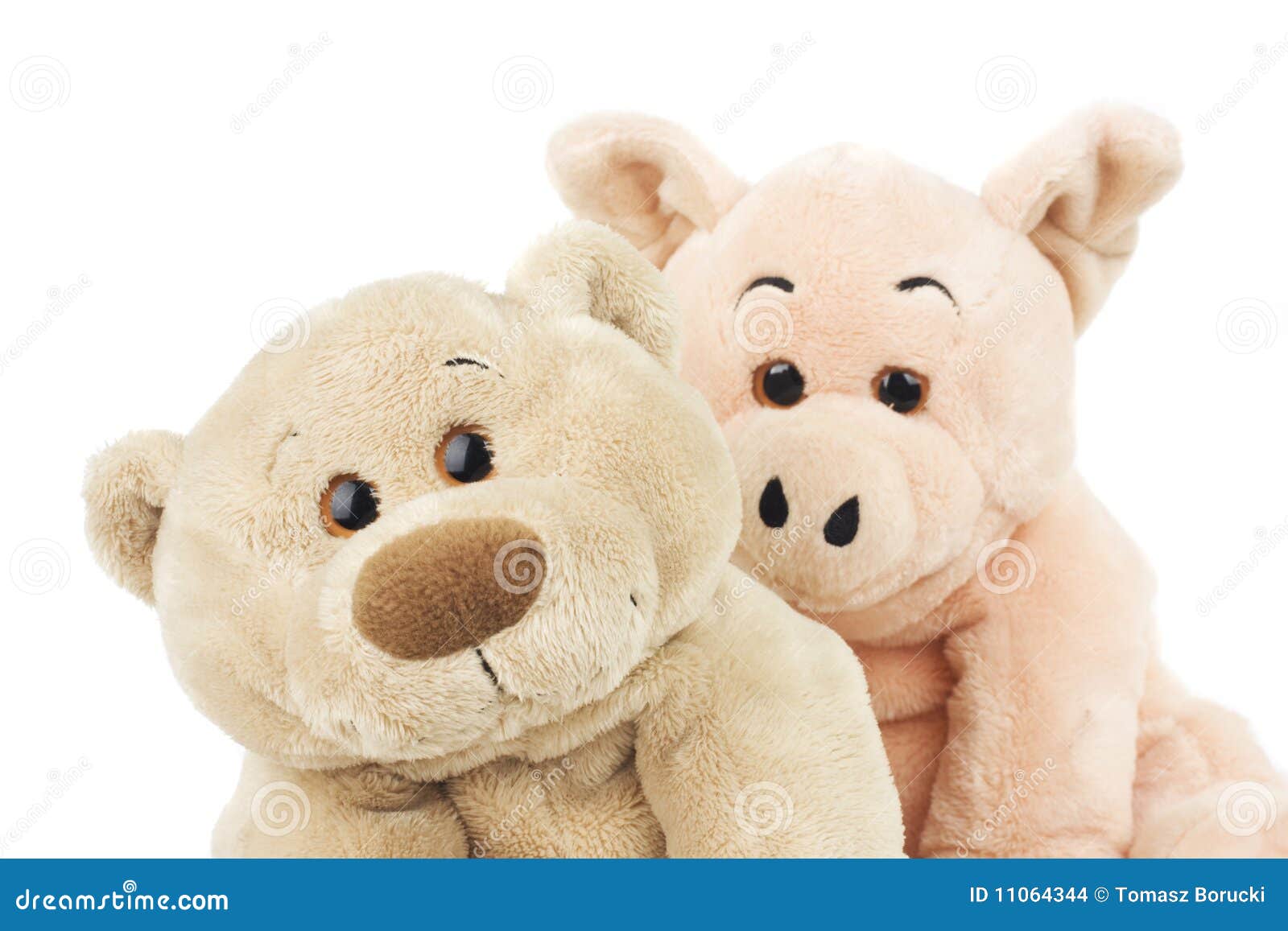 Bear and pig stock photo. Image of pink, gift, teddybear - 11064344