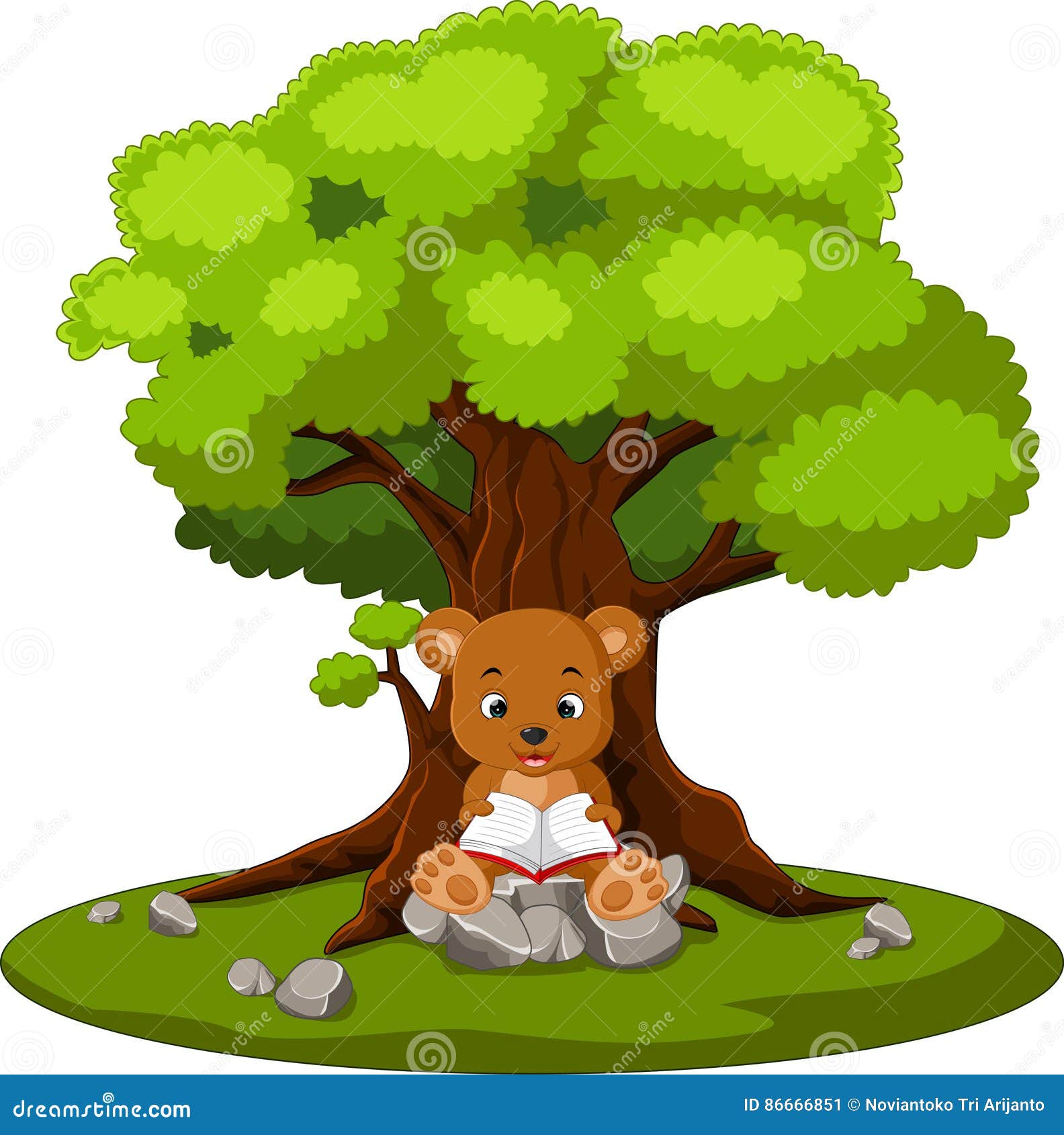 Bear reading book stock vector. Illustration of nature - 86666851