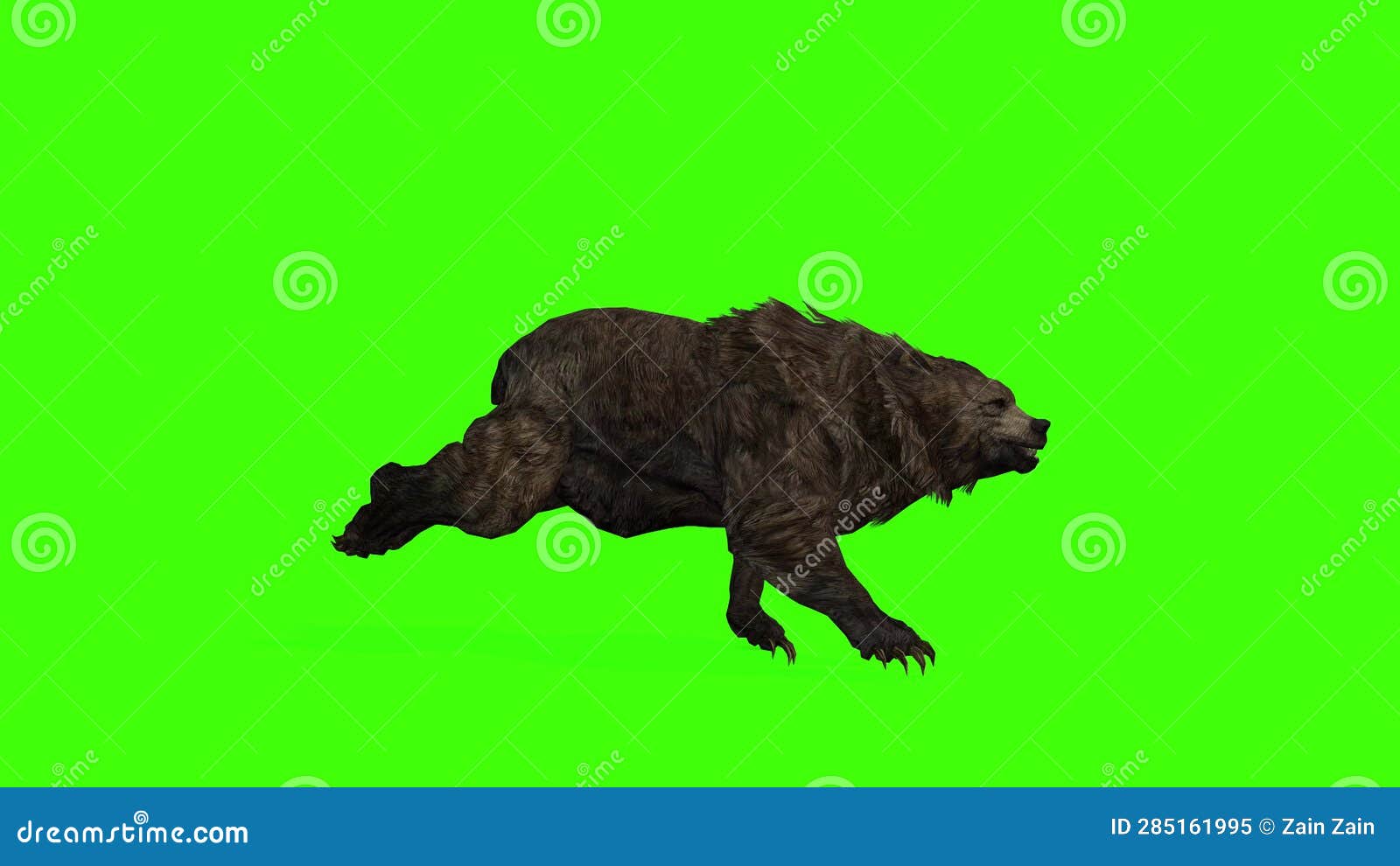 Bear Realistic Running with Walk Cycle Side View Green Screen Loop 3D ...