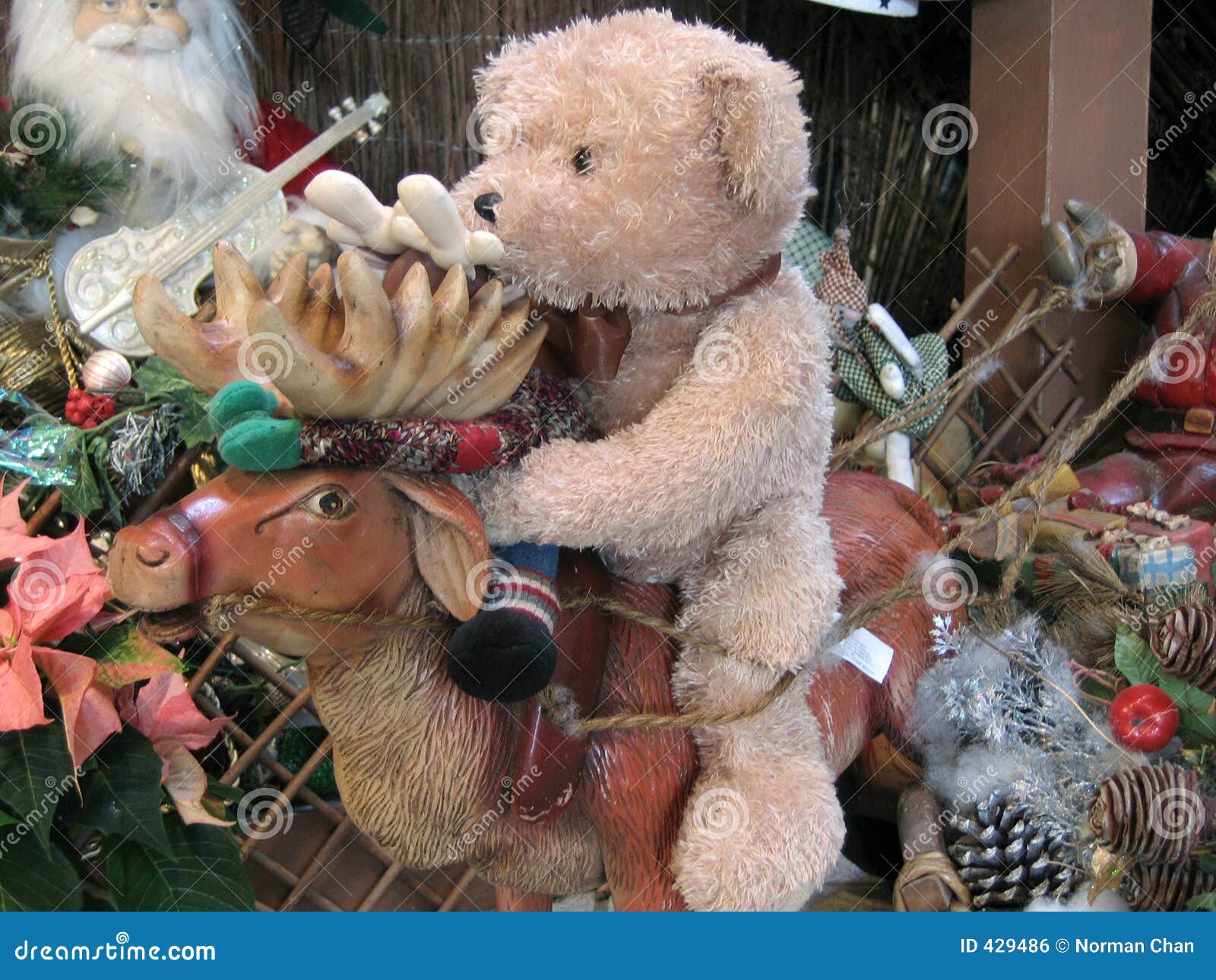 Bear On Reindeer Picture. Image: 429486