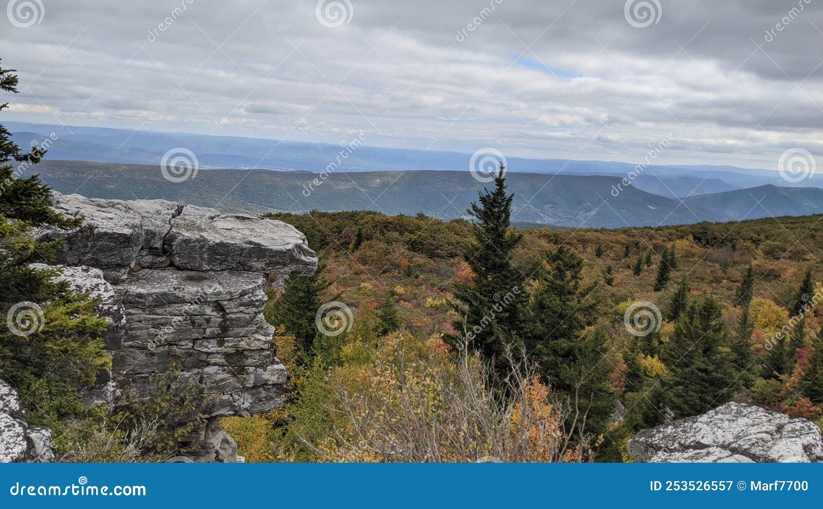 Bear Rock Mountain Ridge stock image. Image of bear - 253526557