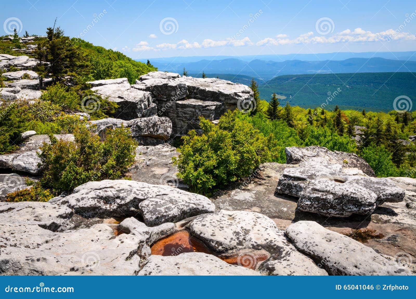 Bear Rocks Preserve stock photo. Image of branch, monongahela - 65041046