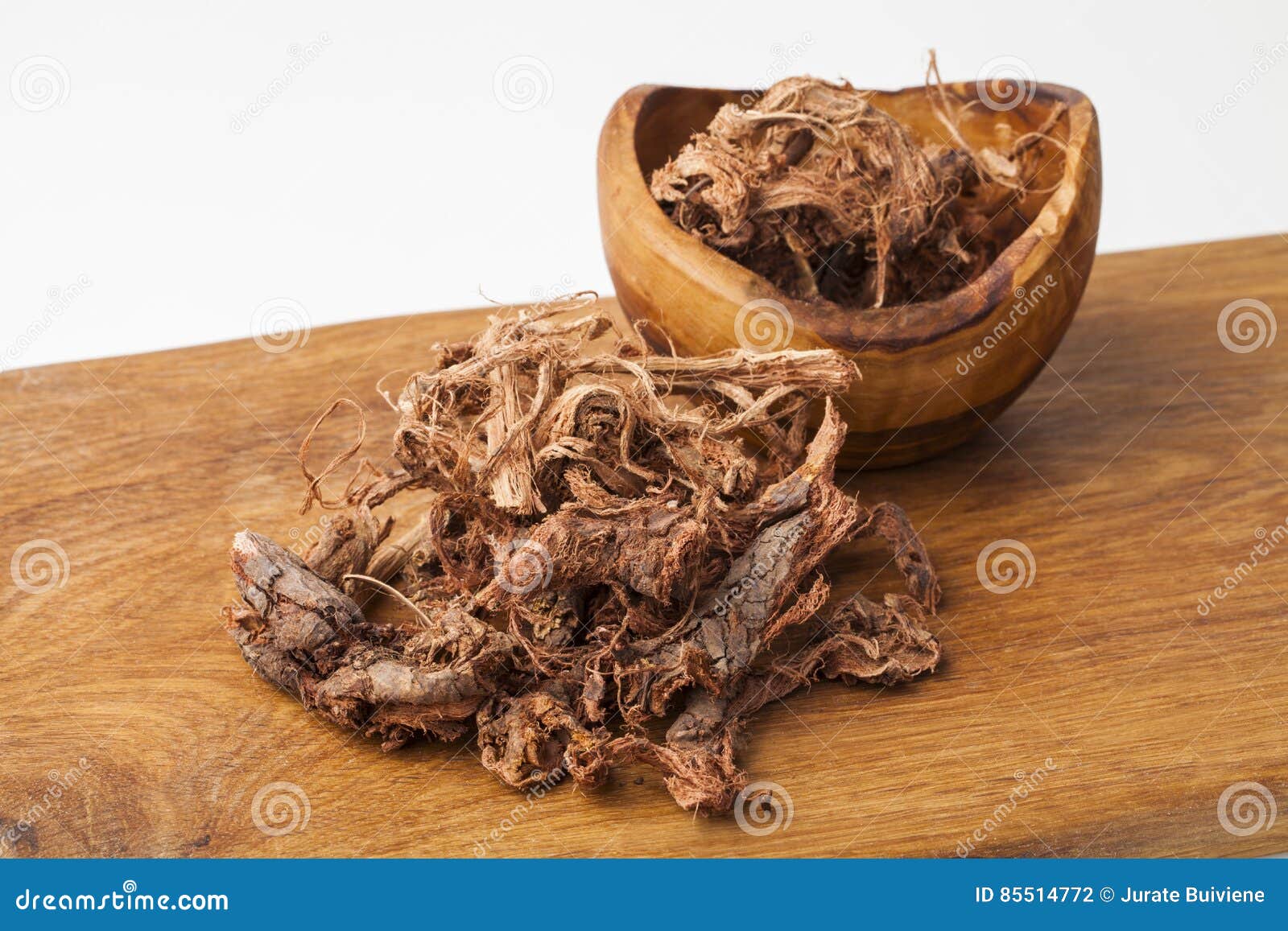 Bear root stock photo. Image of primrose, bear, altai - 85514772